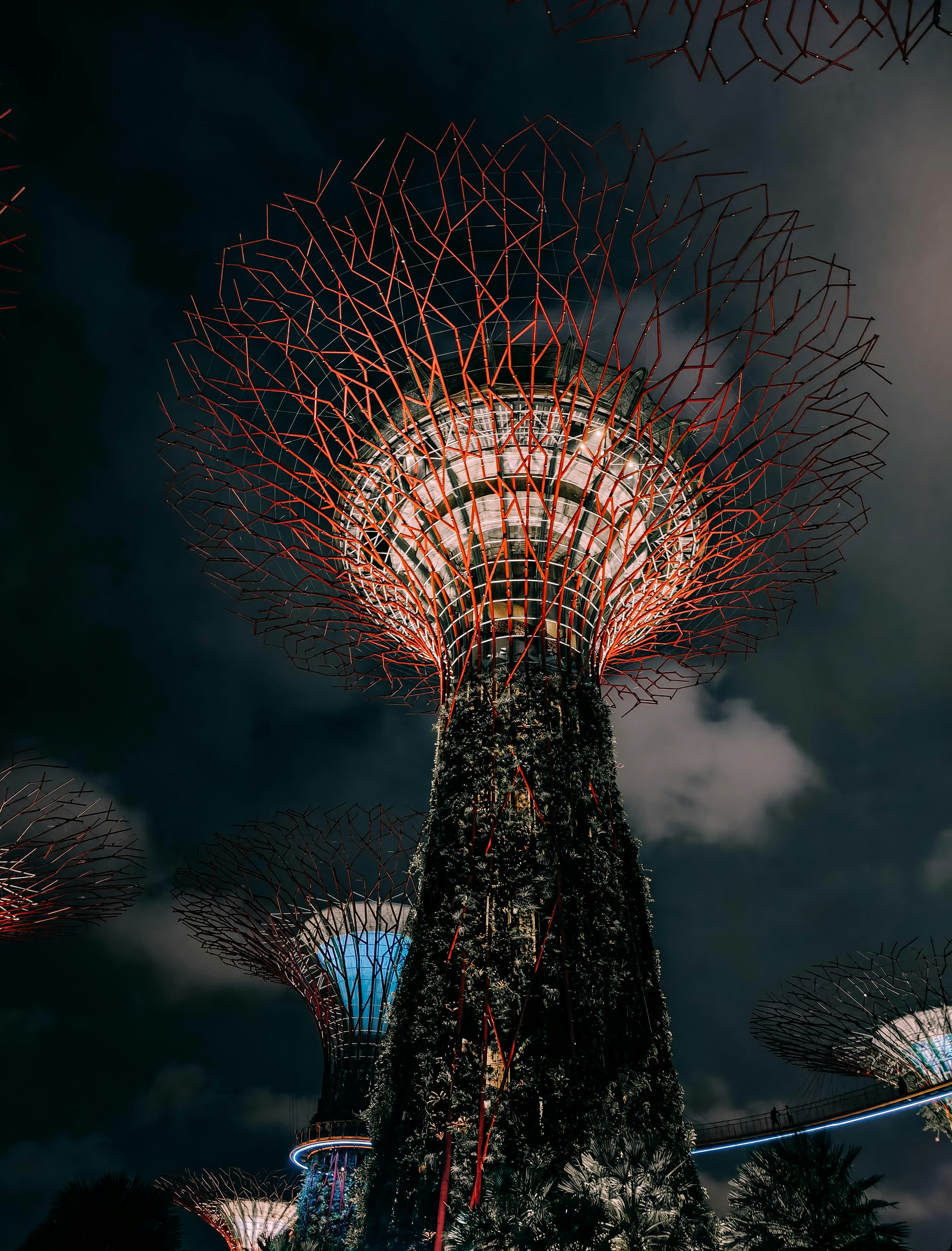 Ignition Bloom: Night Trees of Light and Ember