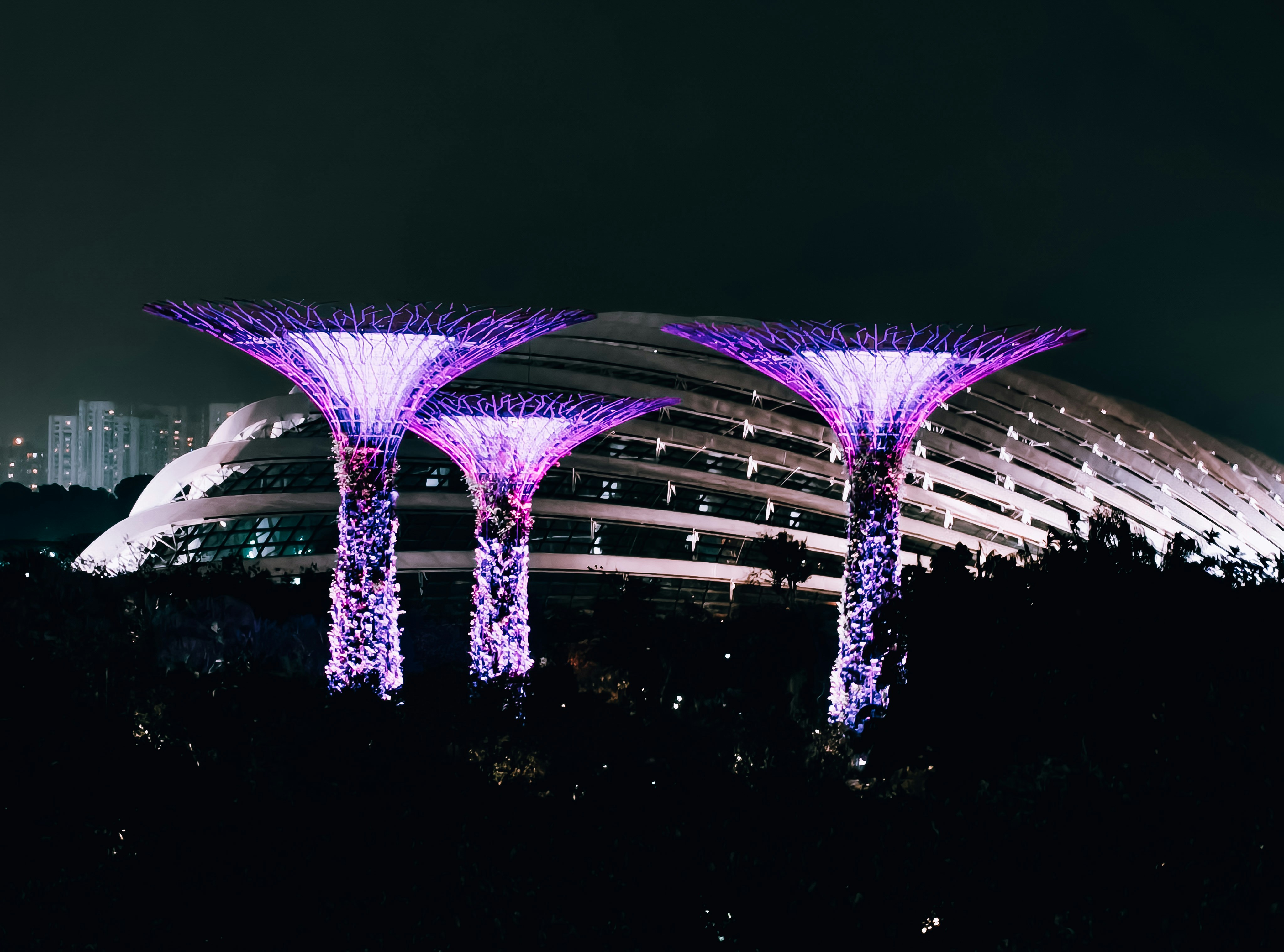 Neon Arbors Above the Night Stadium