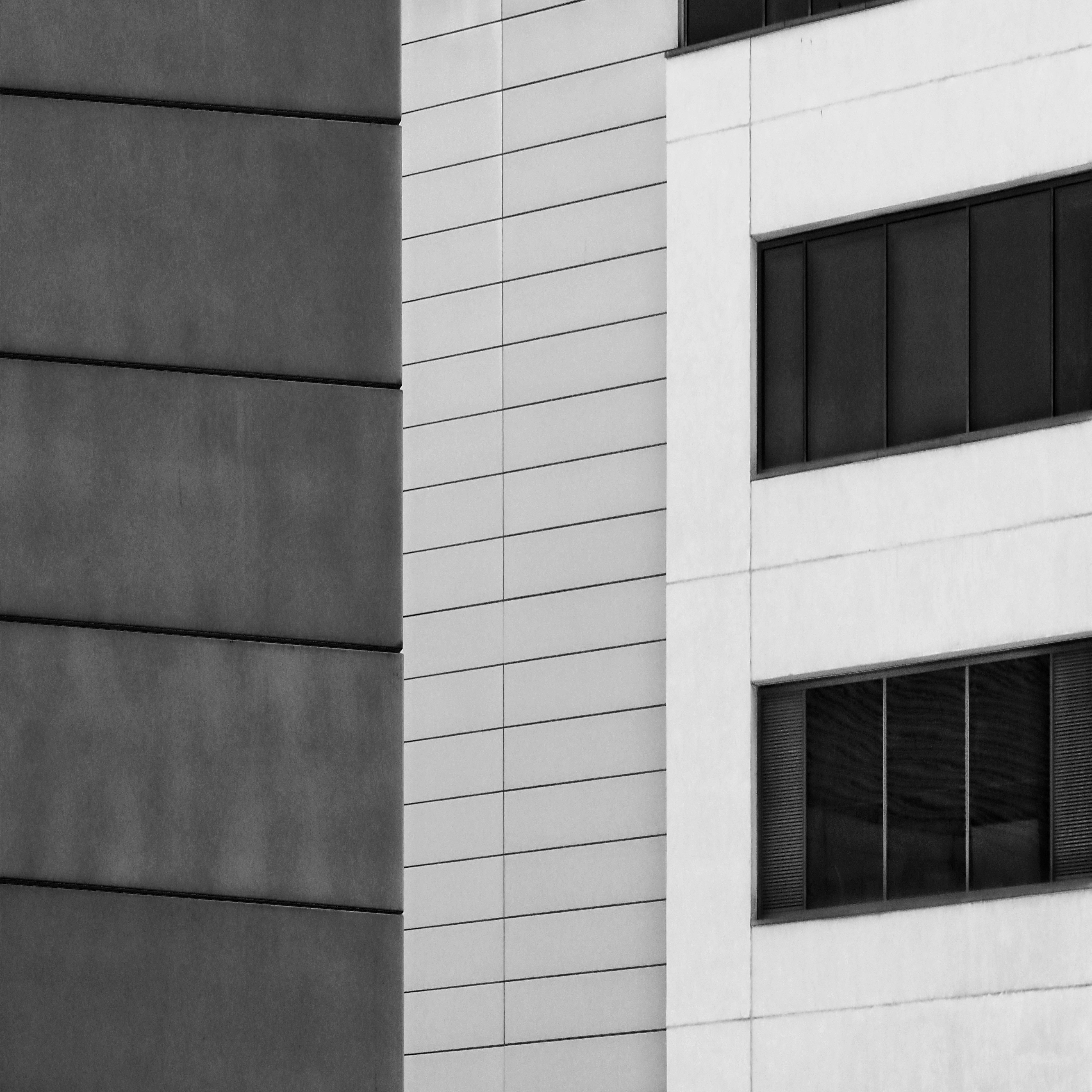 Monochrome Convergence: The Geometry of Facades