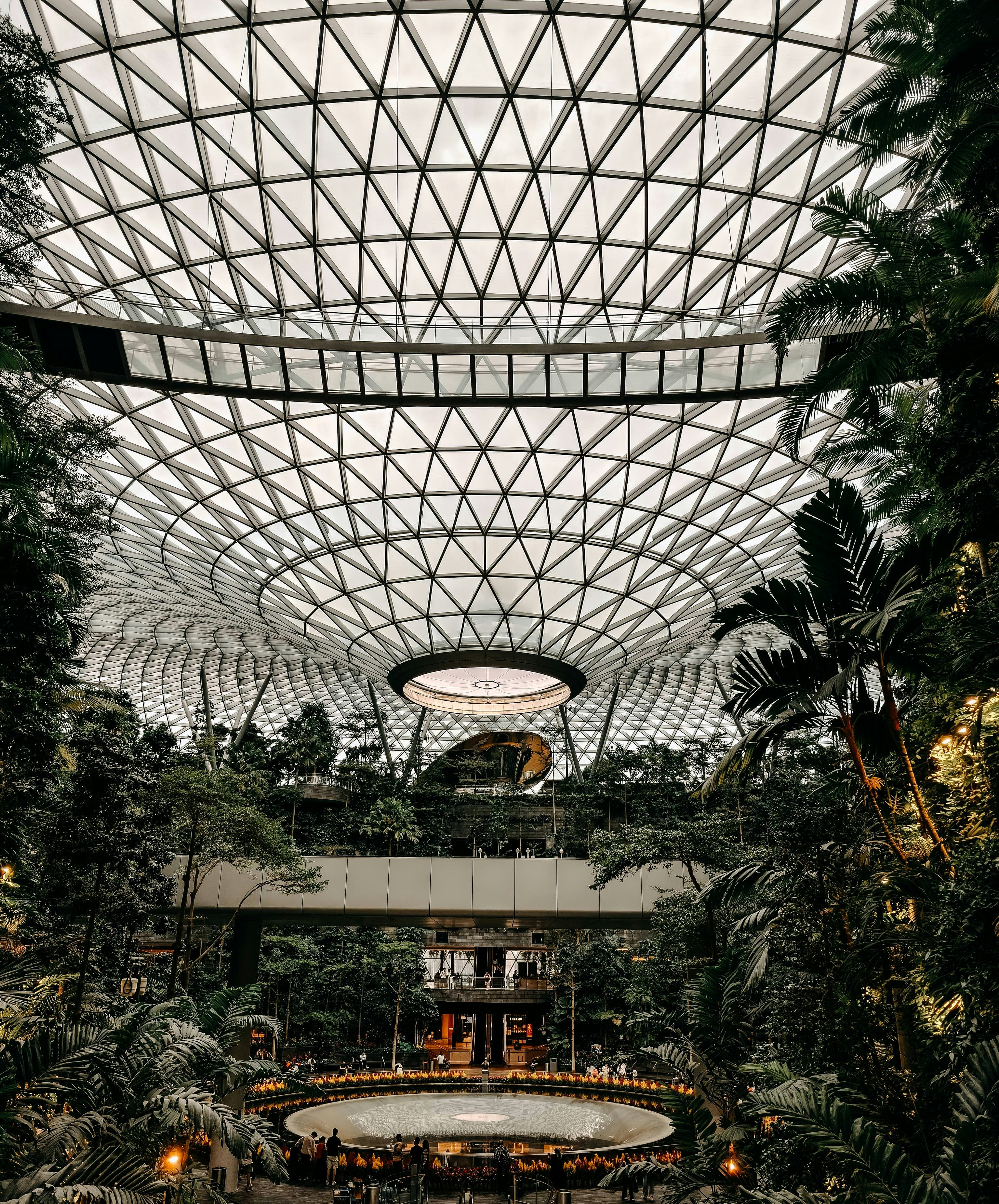 Glass Cathedral of Greenery: An Atrium of Light