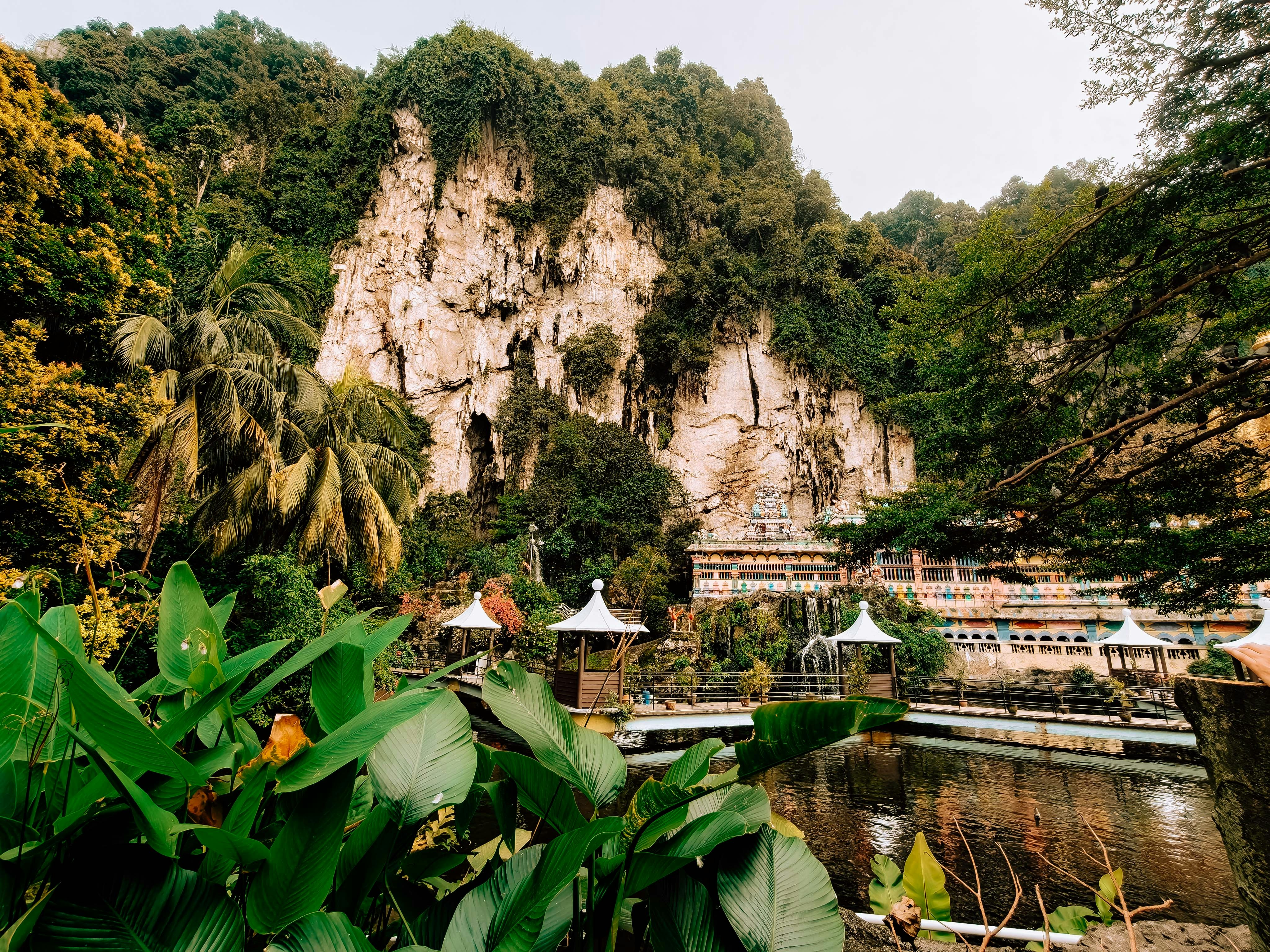 Leafy riverside scene with tropical plants in foreground and a tranquil water body, temple structures, and rugged cliffside backdrop.