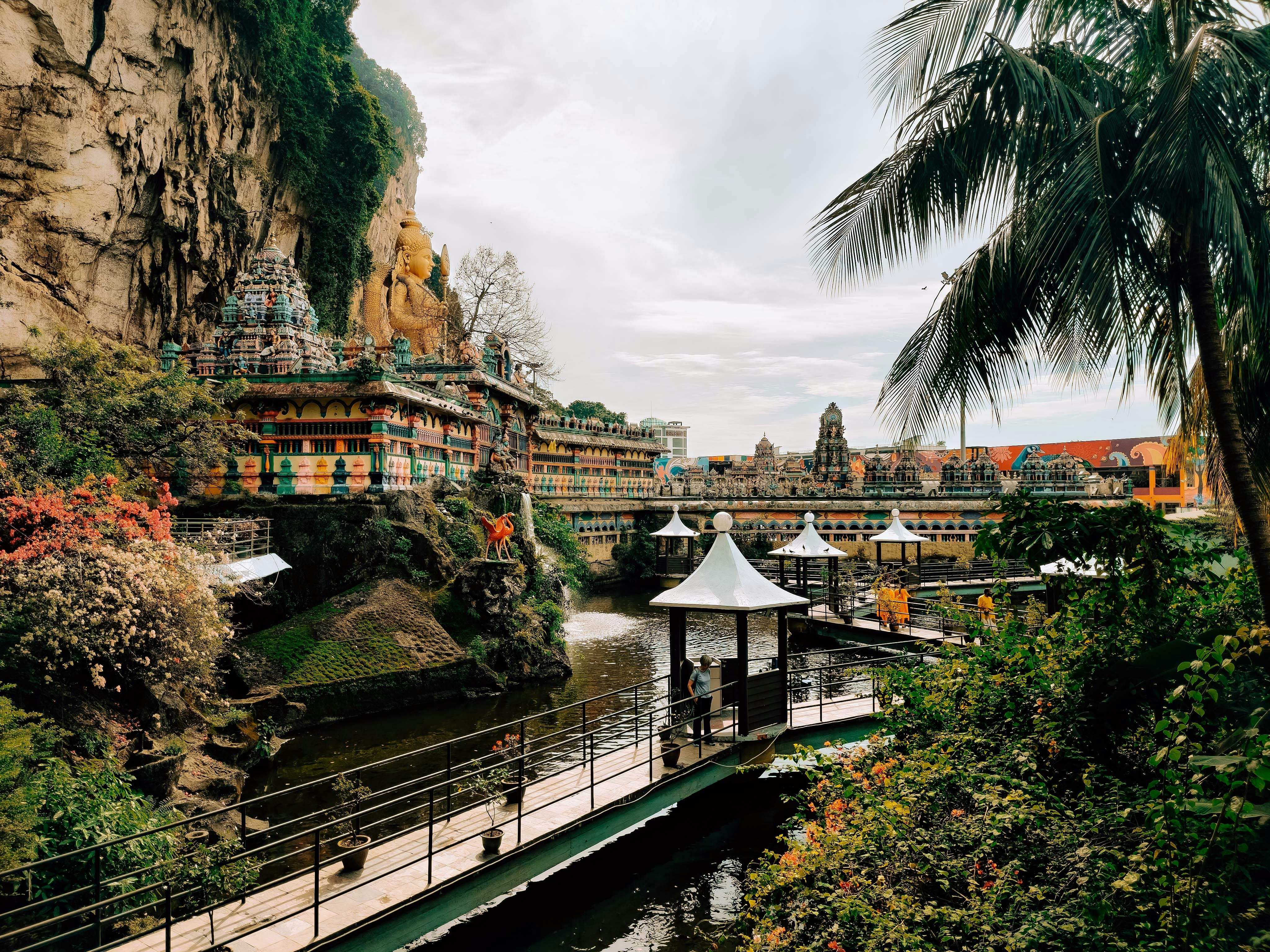 Temple Cove: A winding boardwalk through a cliffside sanctuary