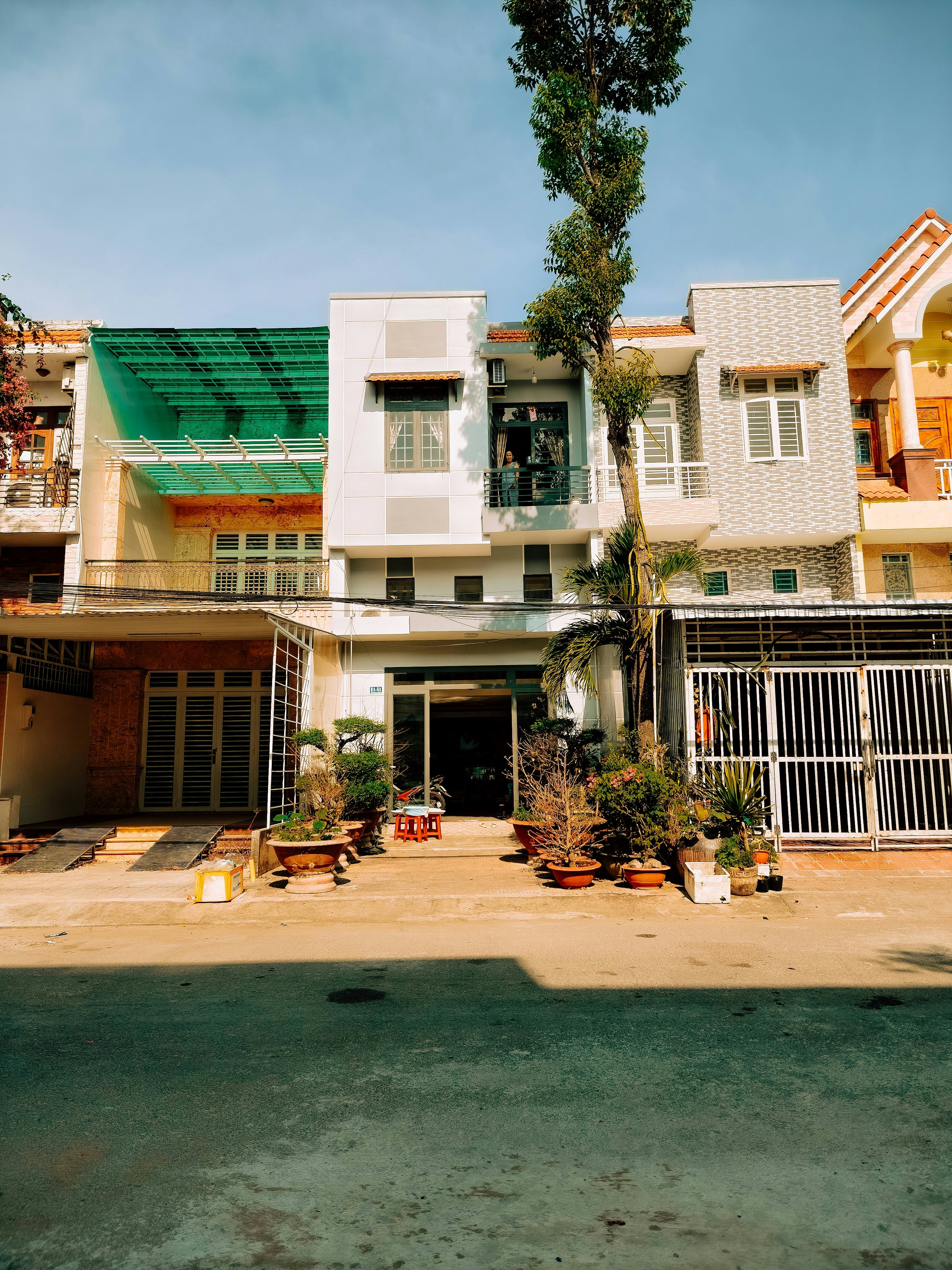 Vertical Green Tree Splitting a Row of Colorful Townhouses