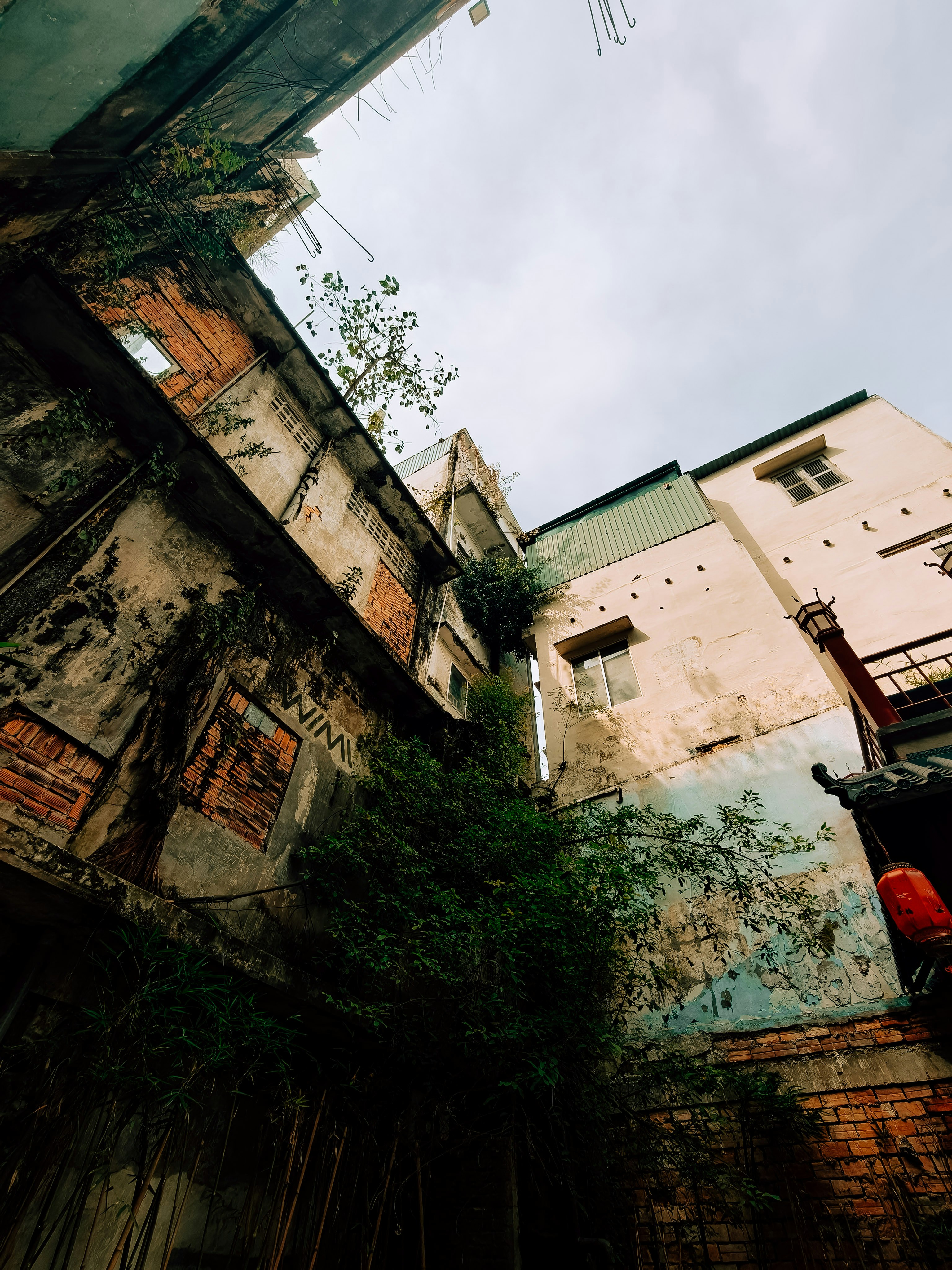 Cramped urban courtyard with weathered buildings and climbing vegetation under a pale sky; the shot emphasizes textures and the receding alley-like height. Note: composition centers on the worn facades and greenery.
