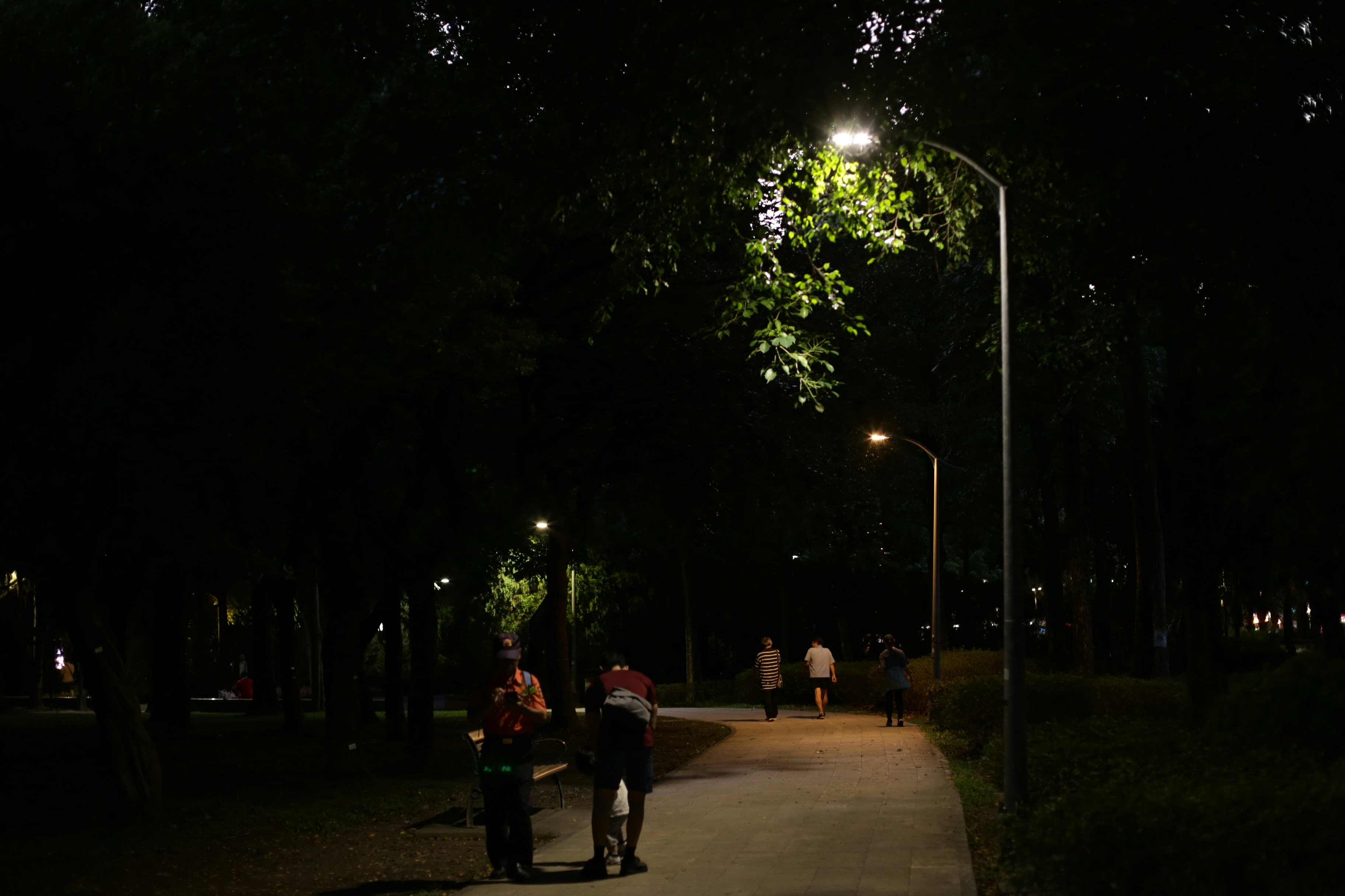 Night Walk Under the Streetlamps