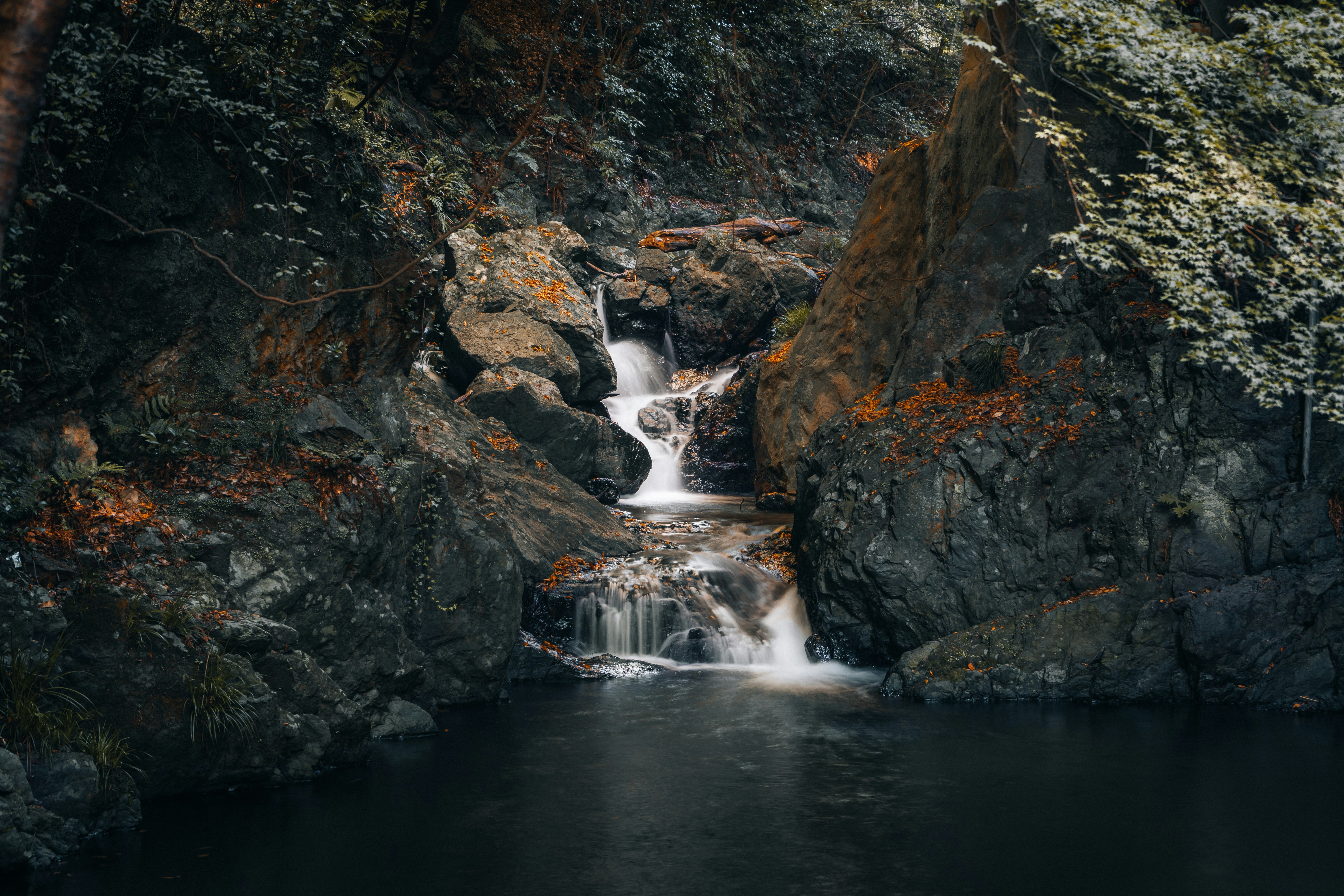 Whispering Falls Between Mossy Walls