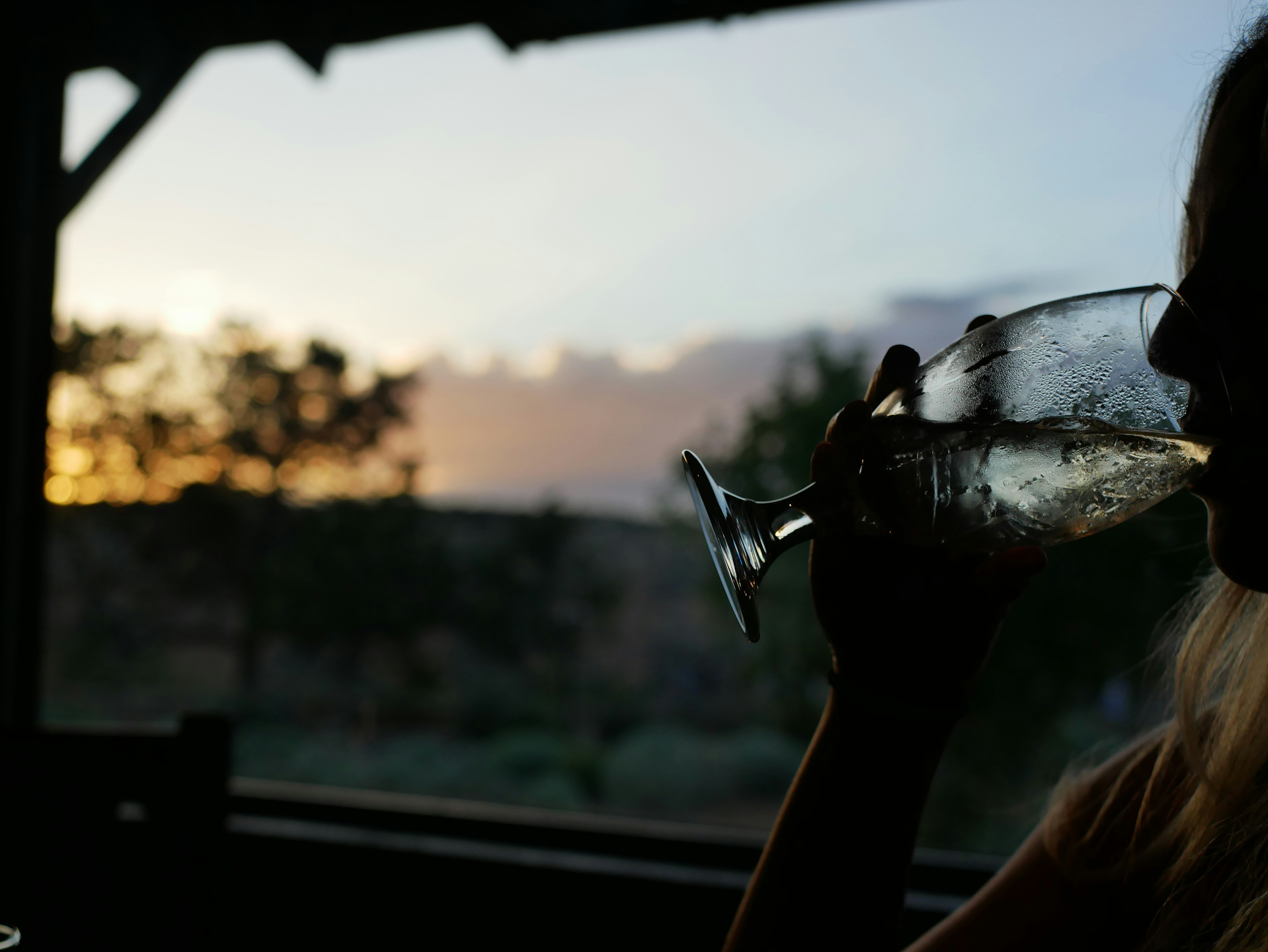 Silhouette Toast: A Quiet Moment with a Glass