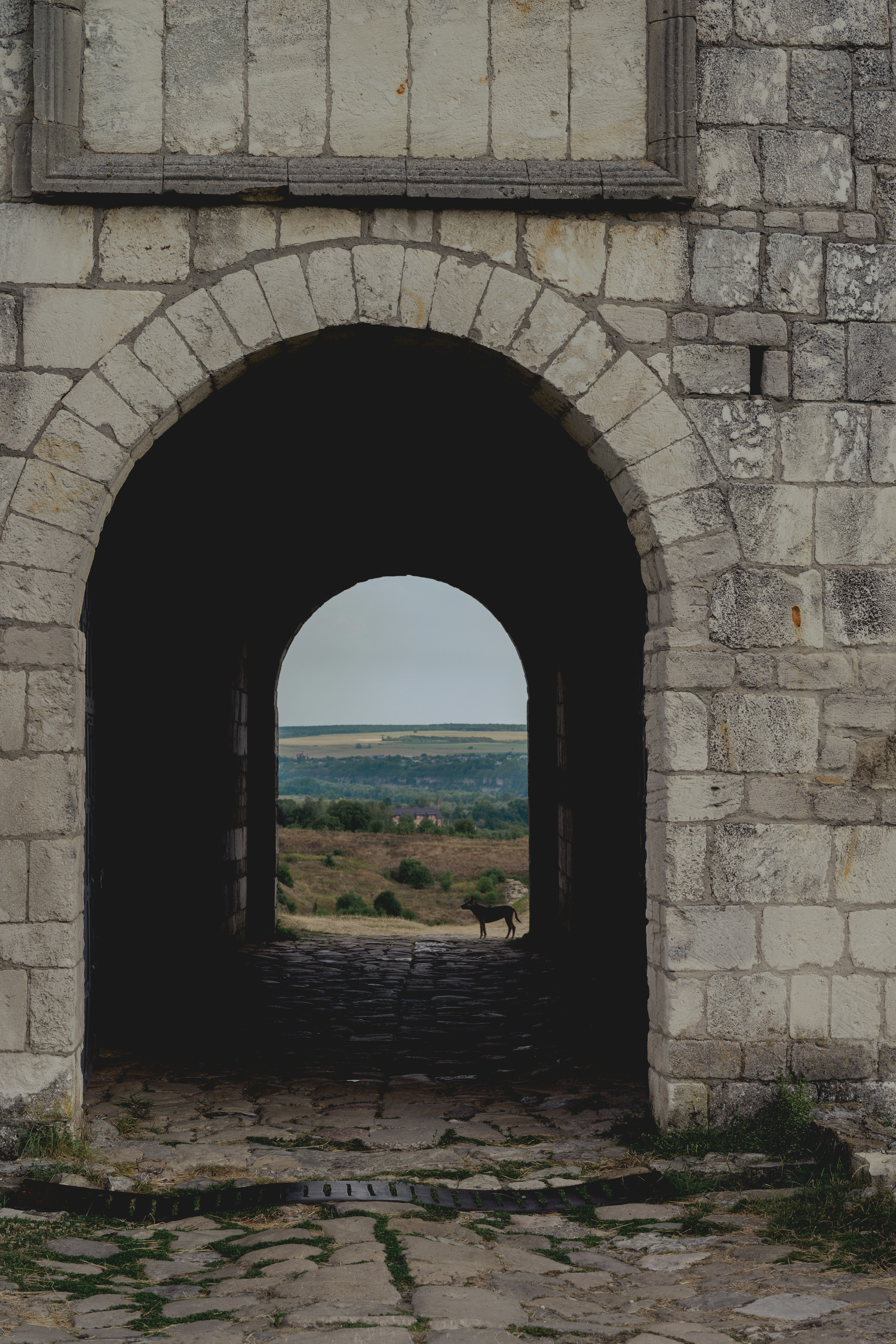 Through the Stone Gate to the Quiet Horizon