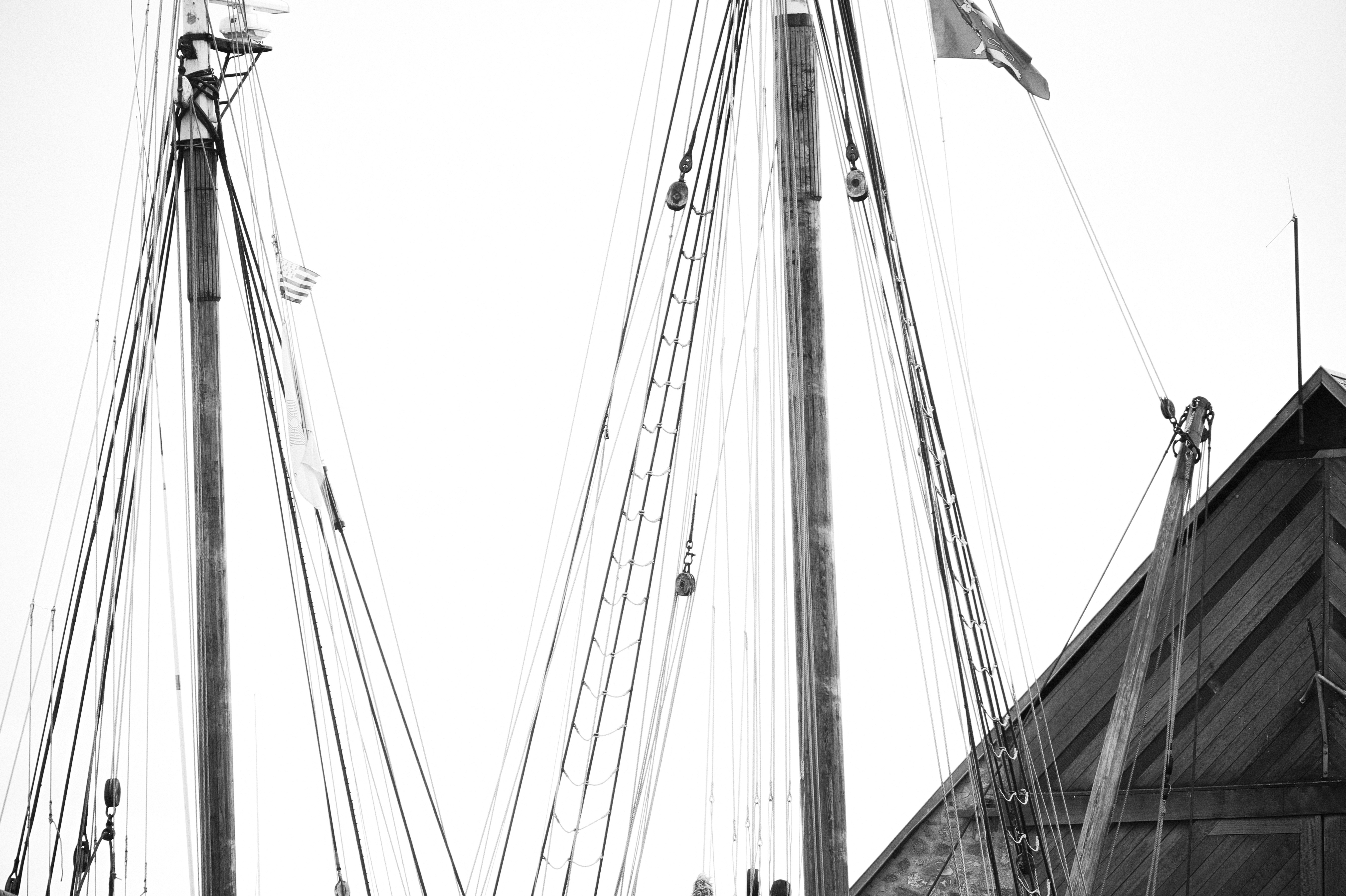 Masts and Rigging: A Quiet Maritime Silhouette