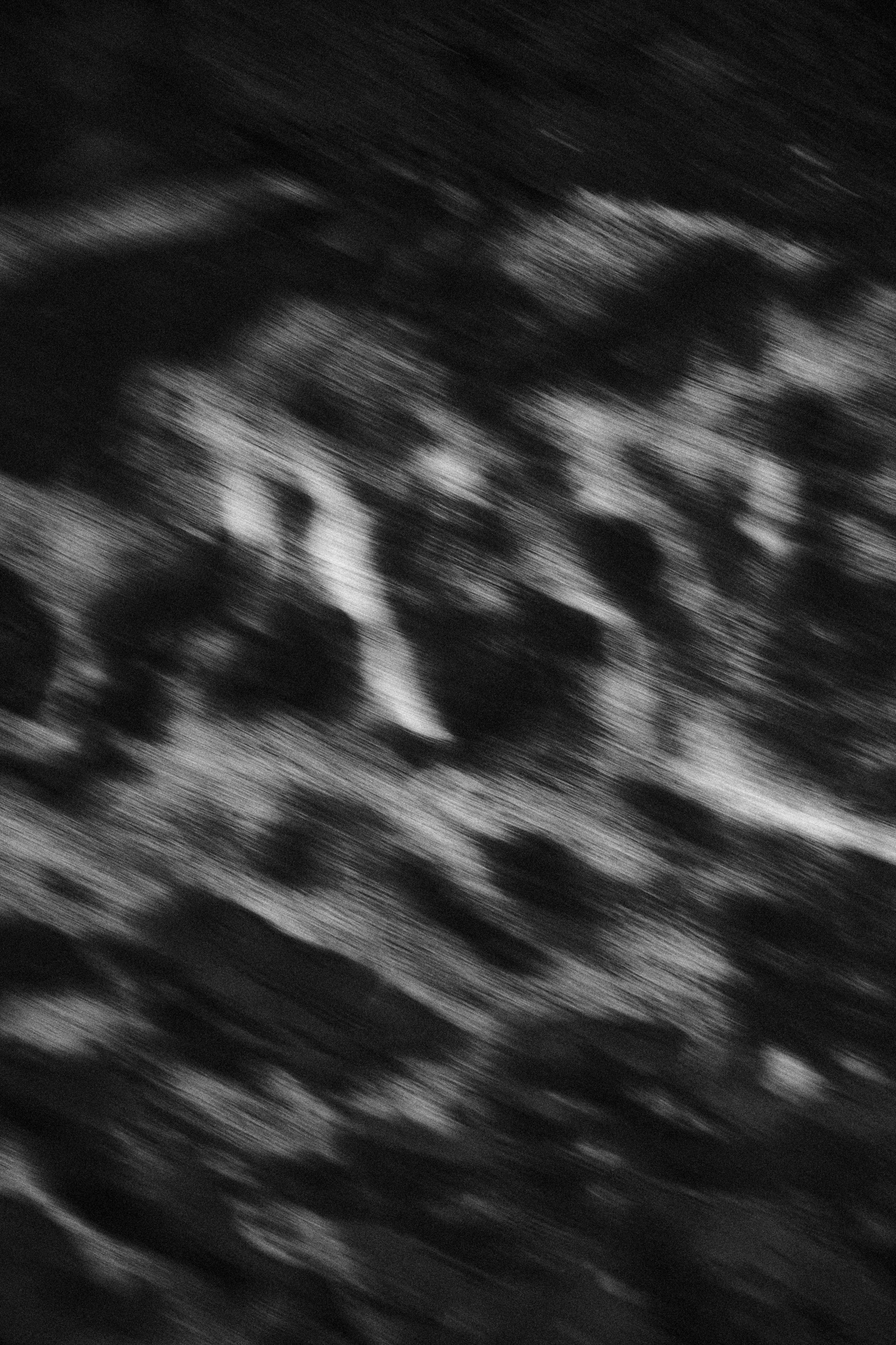 Motion in Monochrome: Abstract Whisper of Shadow and Light