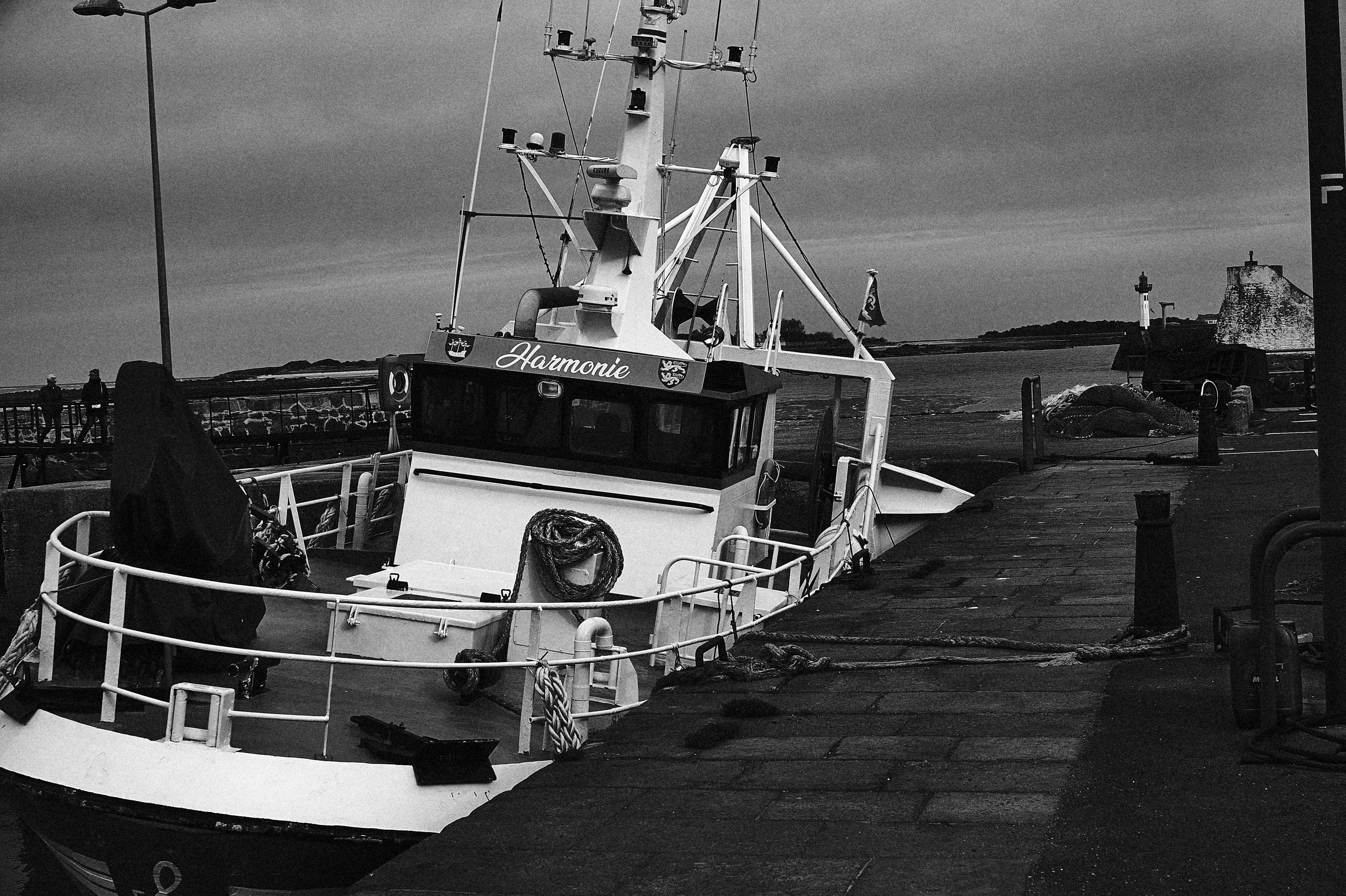 Harmony at the Dock: A Quiet Seascape in Monochrome