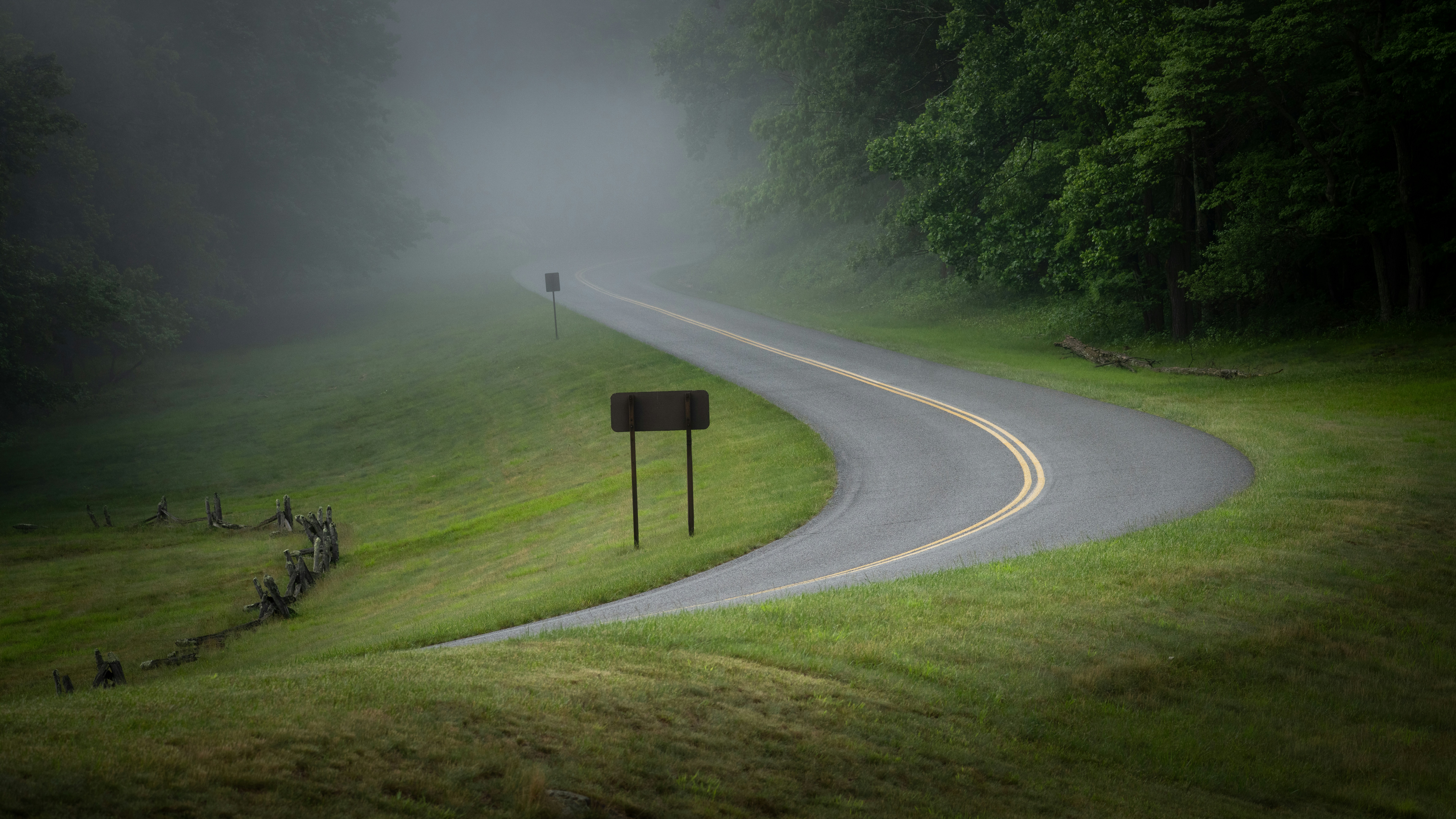 Mist-Wrapped Road Through Silent Pastures