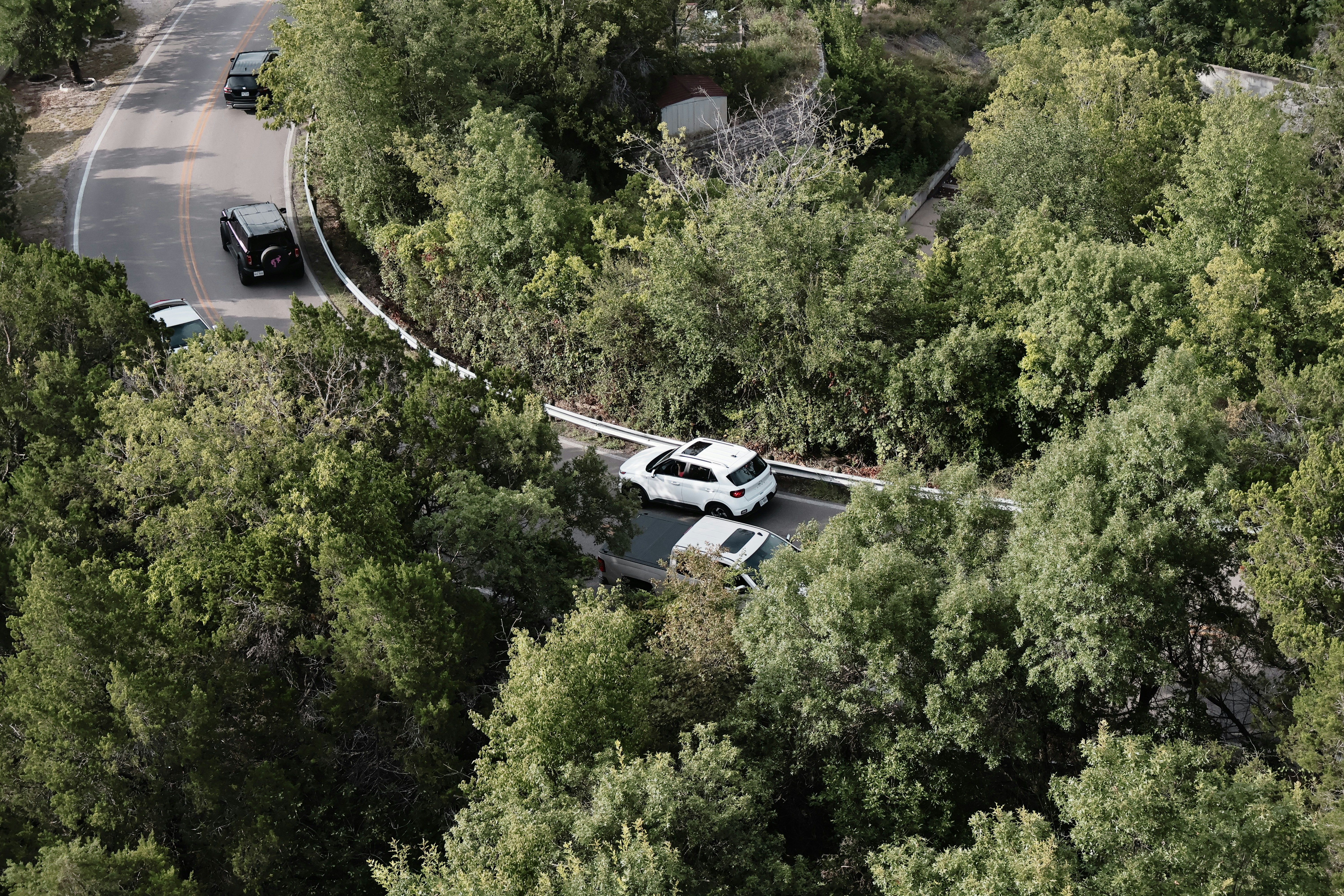 Edge of the Curve: A White SUV Navigates a Forested Bend
