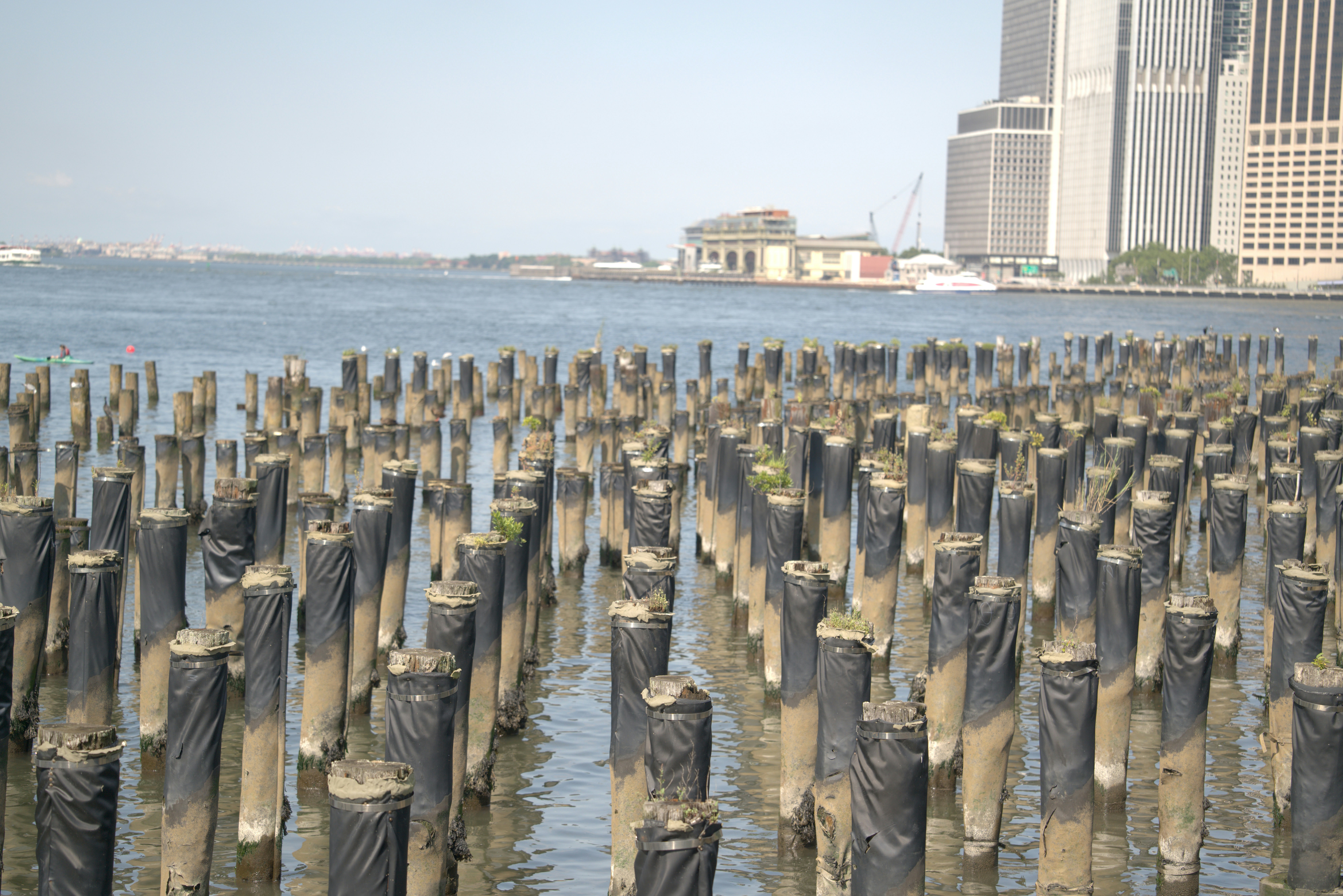 Rows of Protective Tubes Facing the Open Water with Skyscrapers in the Distance