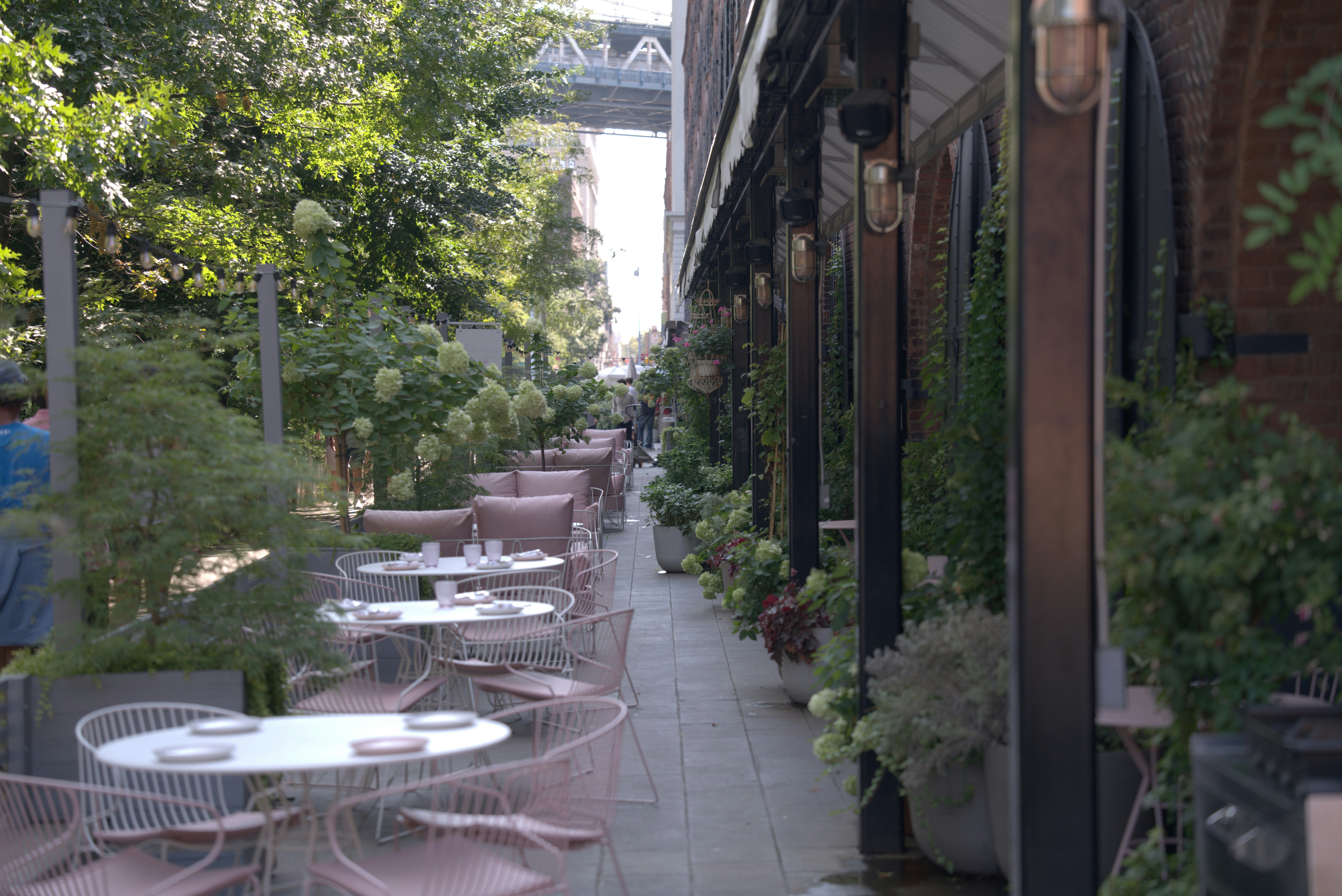Cafe Alley in Soft Afternoon Light