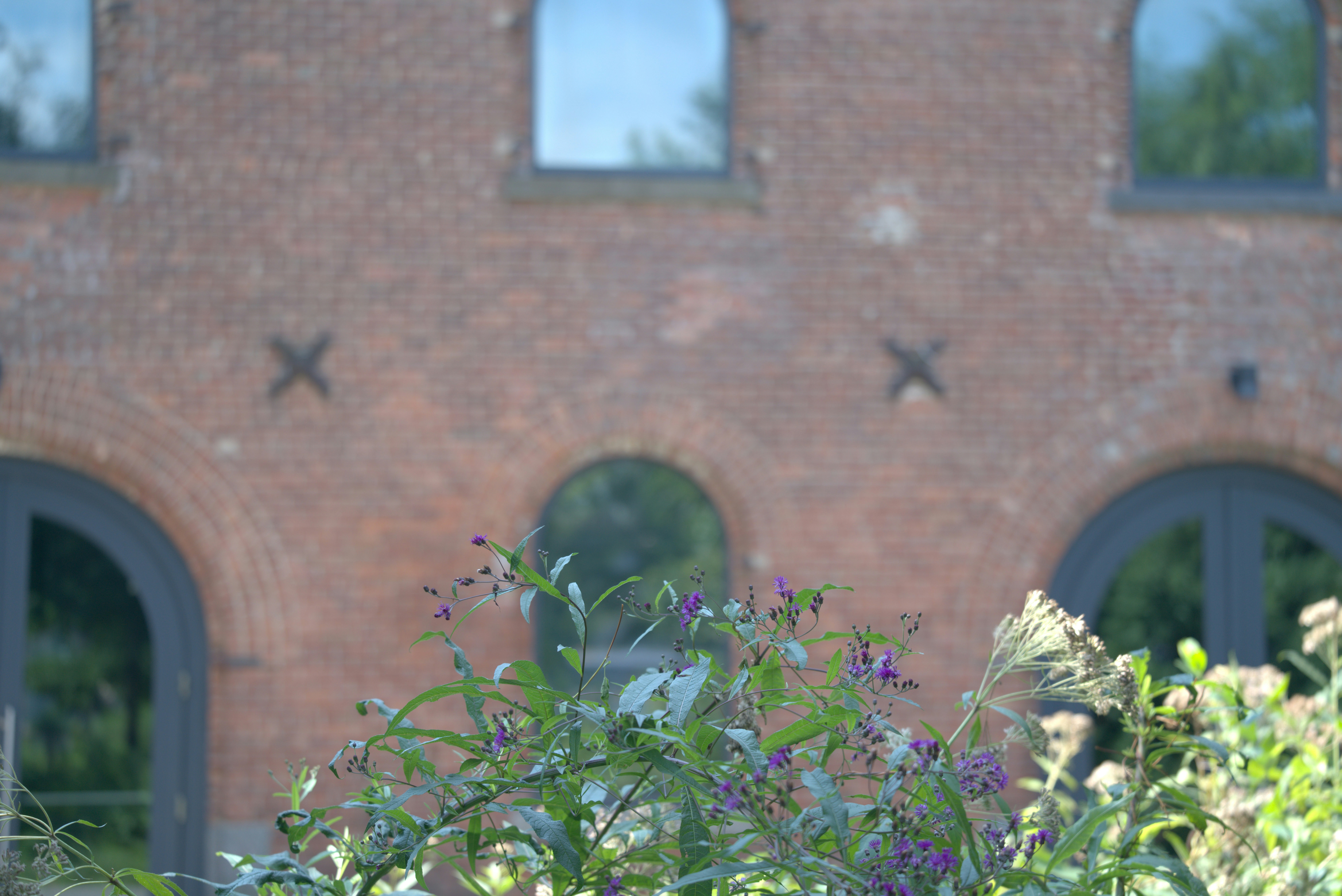Greenery in Front of a Brick Courtyard