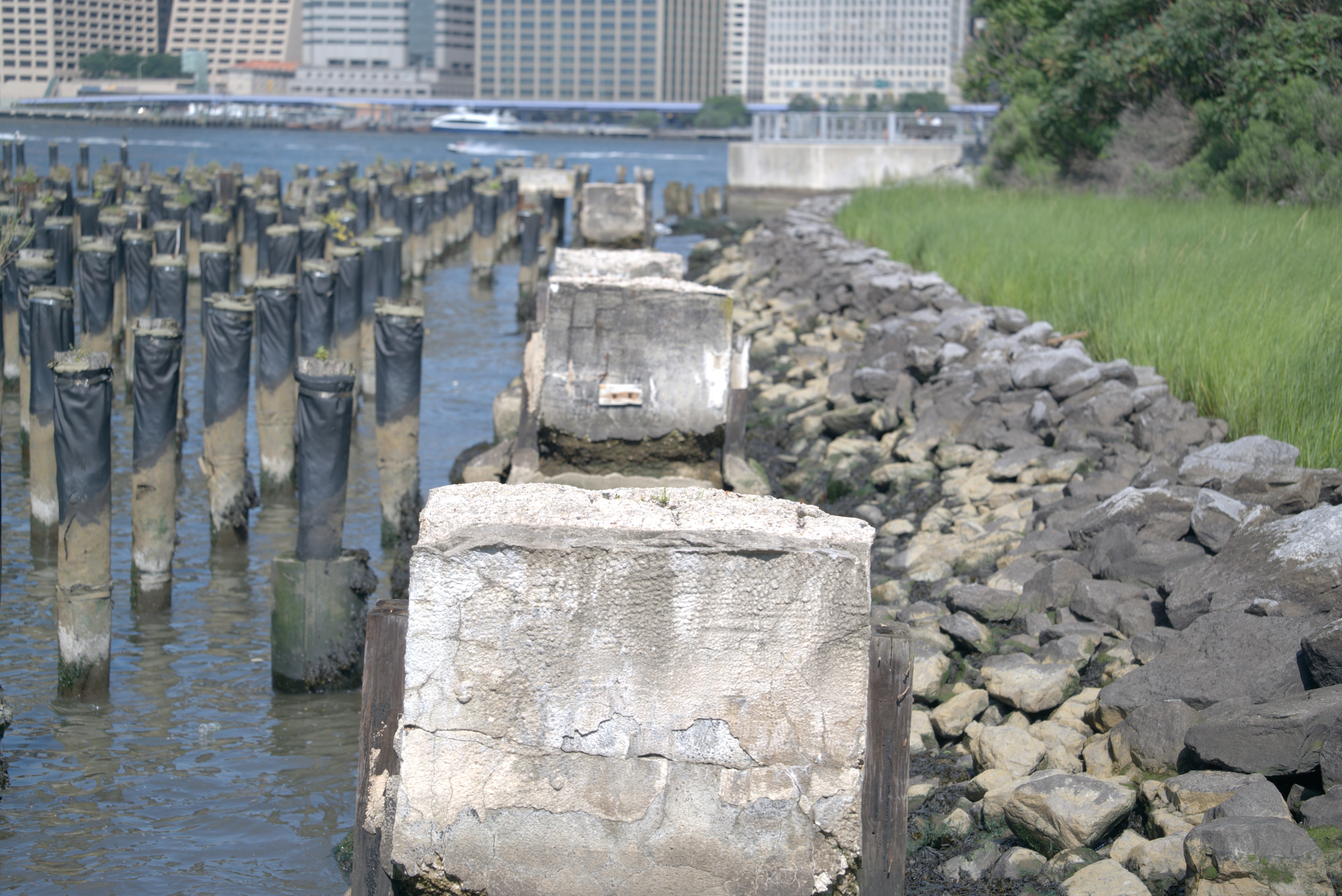 Stone sentinels along the harbor breakwater