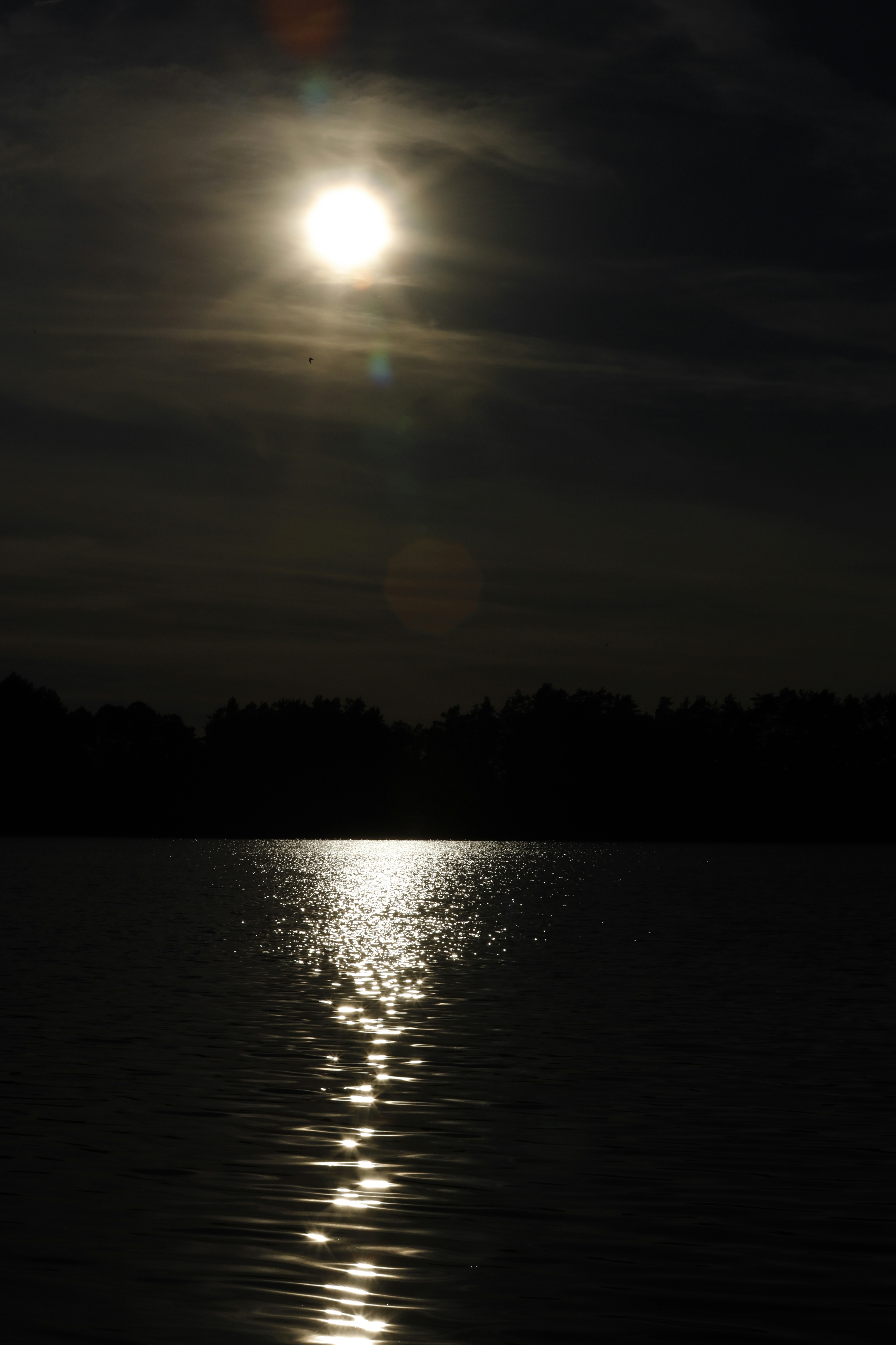 Moonlit Ripple: Solar Spotlight on a Quiet Lake