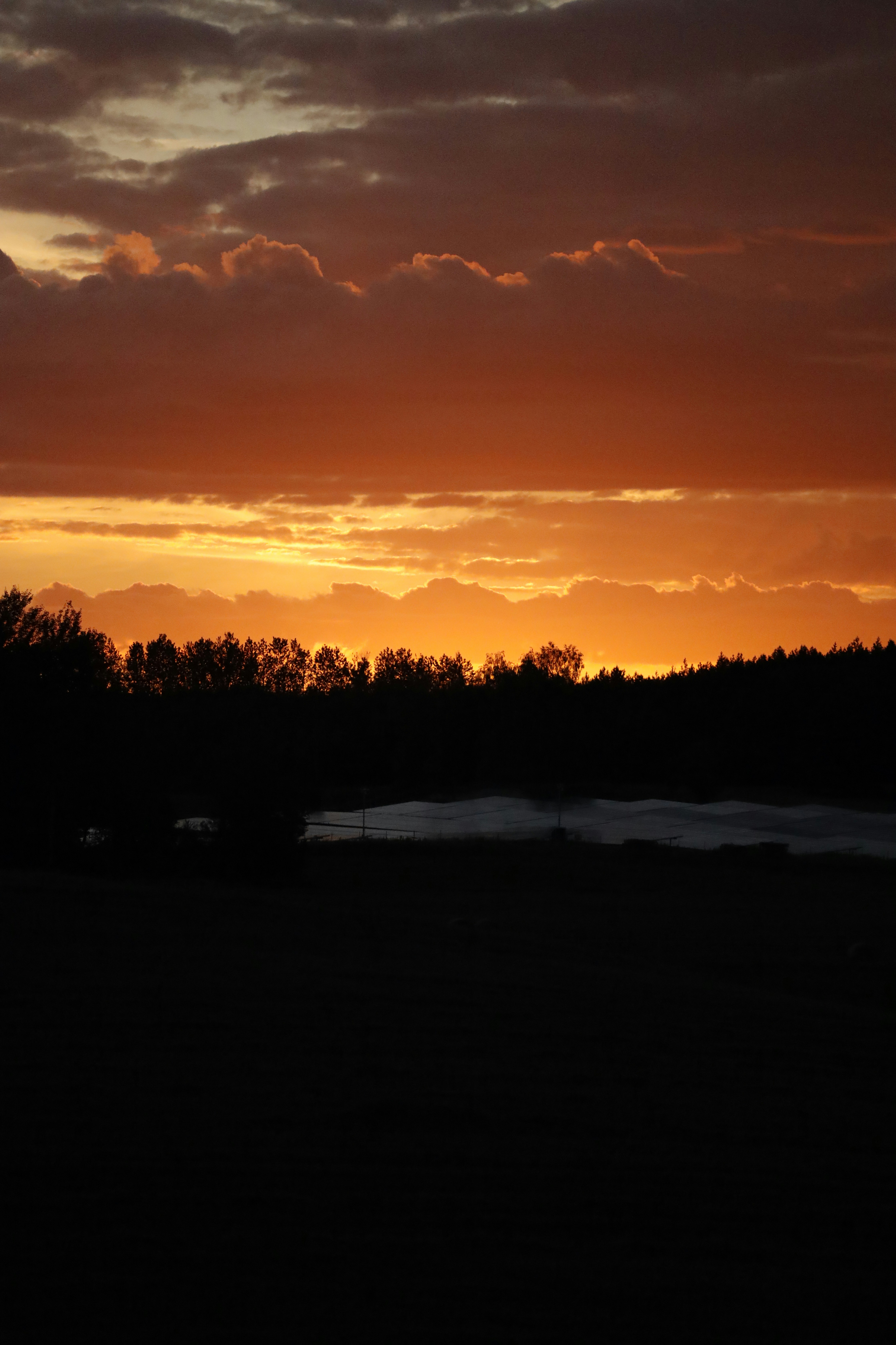 Fiery horizon over a quiet treeline at dusk