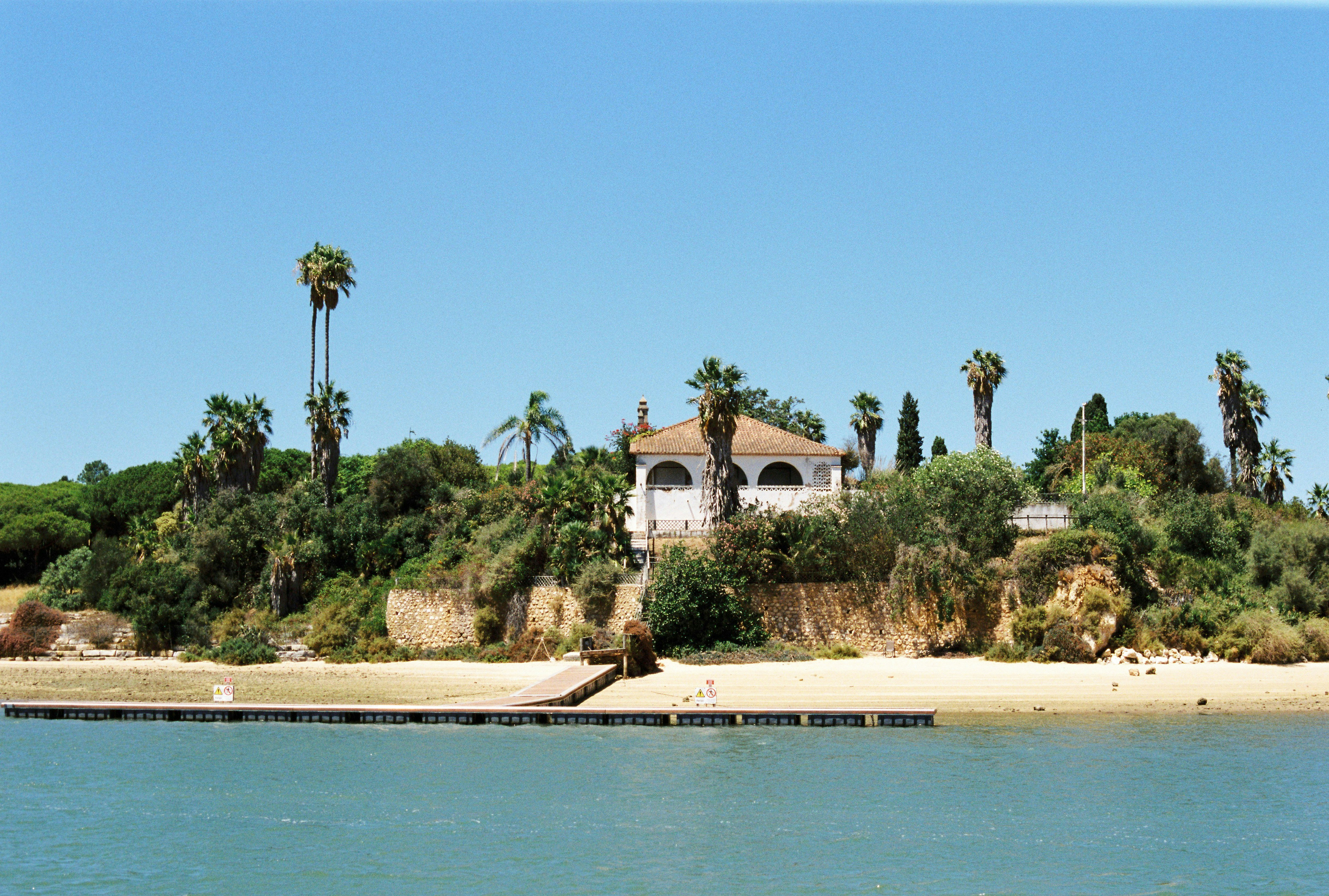 Coastal Villa Framed by Palm Canopies
