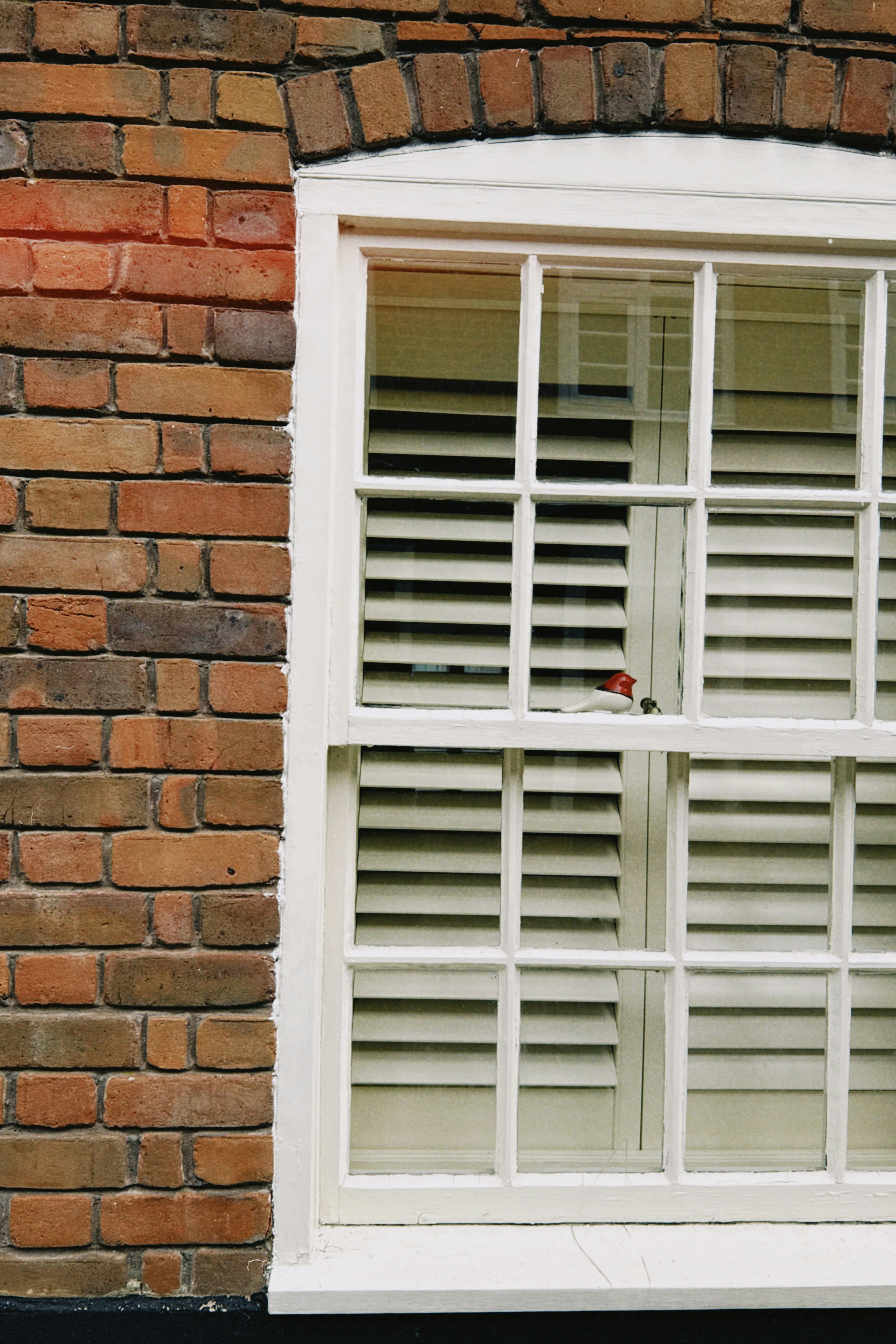 White-framed window set in a brick wall with a tiny red bird perched on the sash