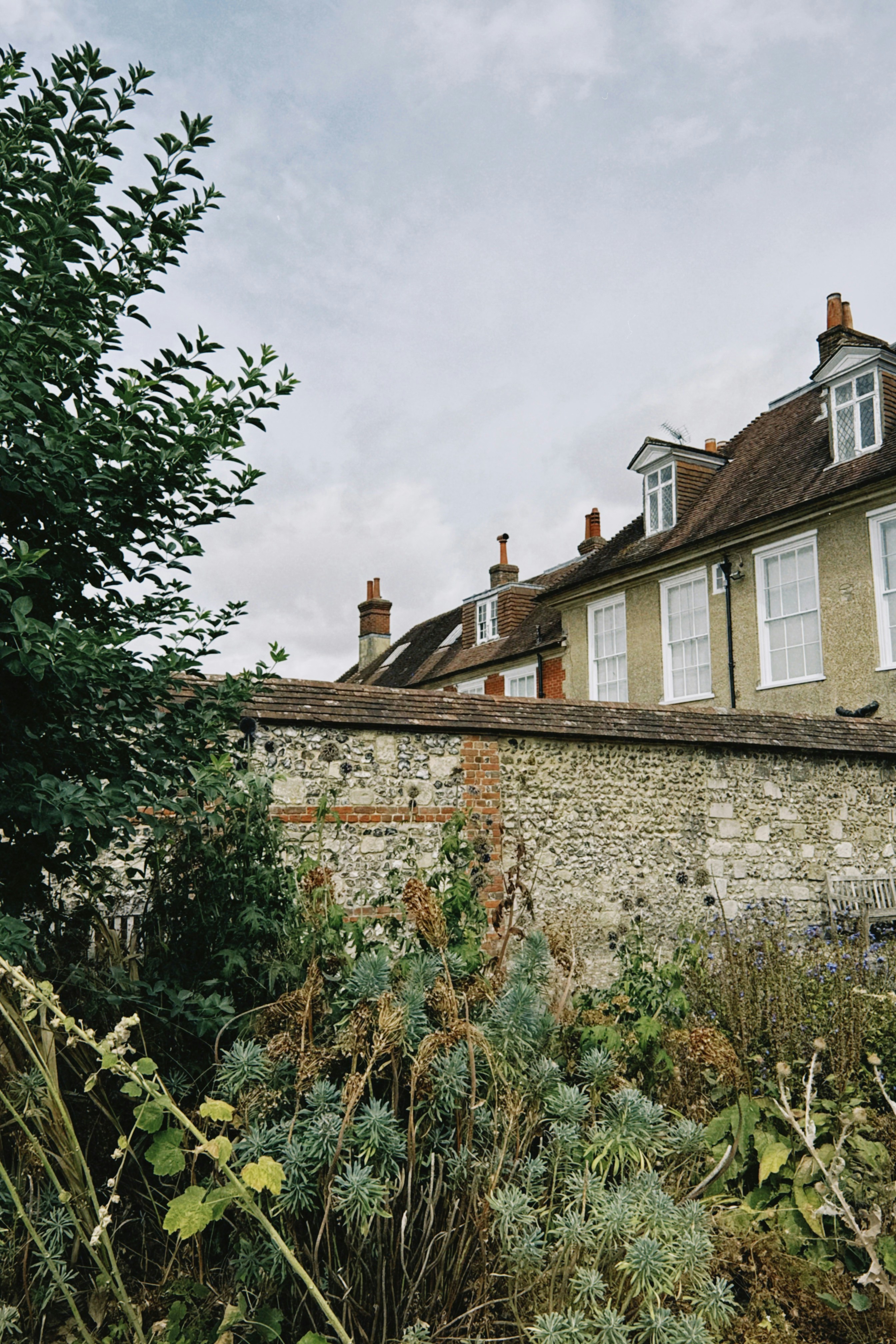 Cottage Wall and Overgrown Garden Framed by a City Roofline