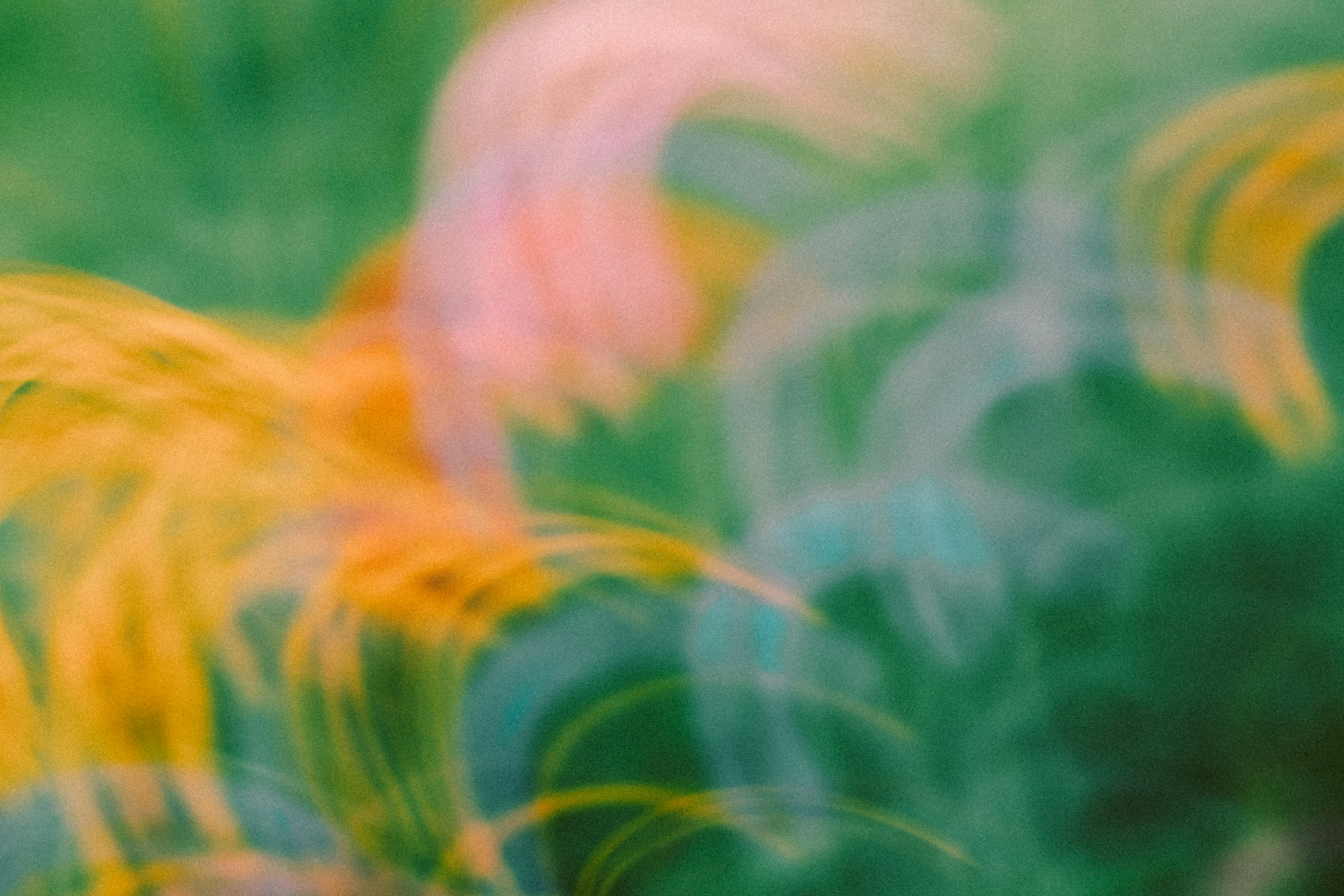 Whirlwind of Color: Circular Strokes in Motion