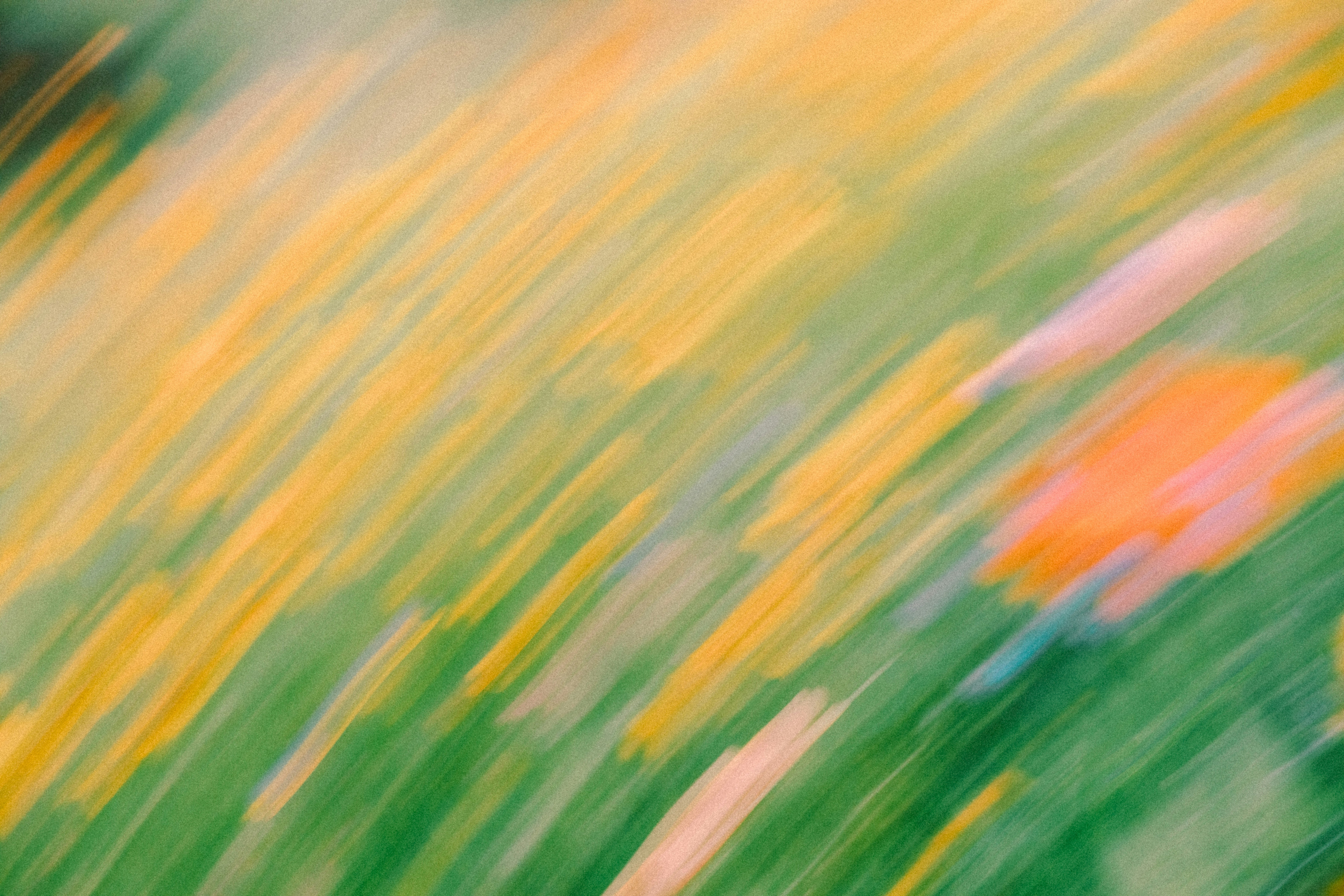 Blossoms in Flight: A Diagonal Meadow in Motion