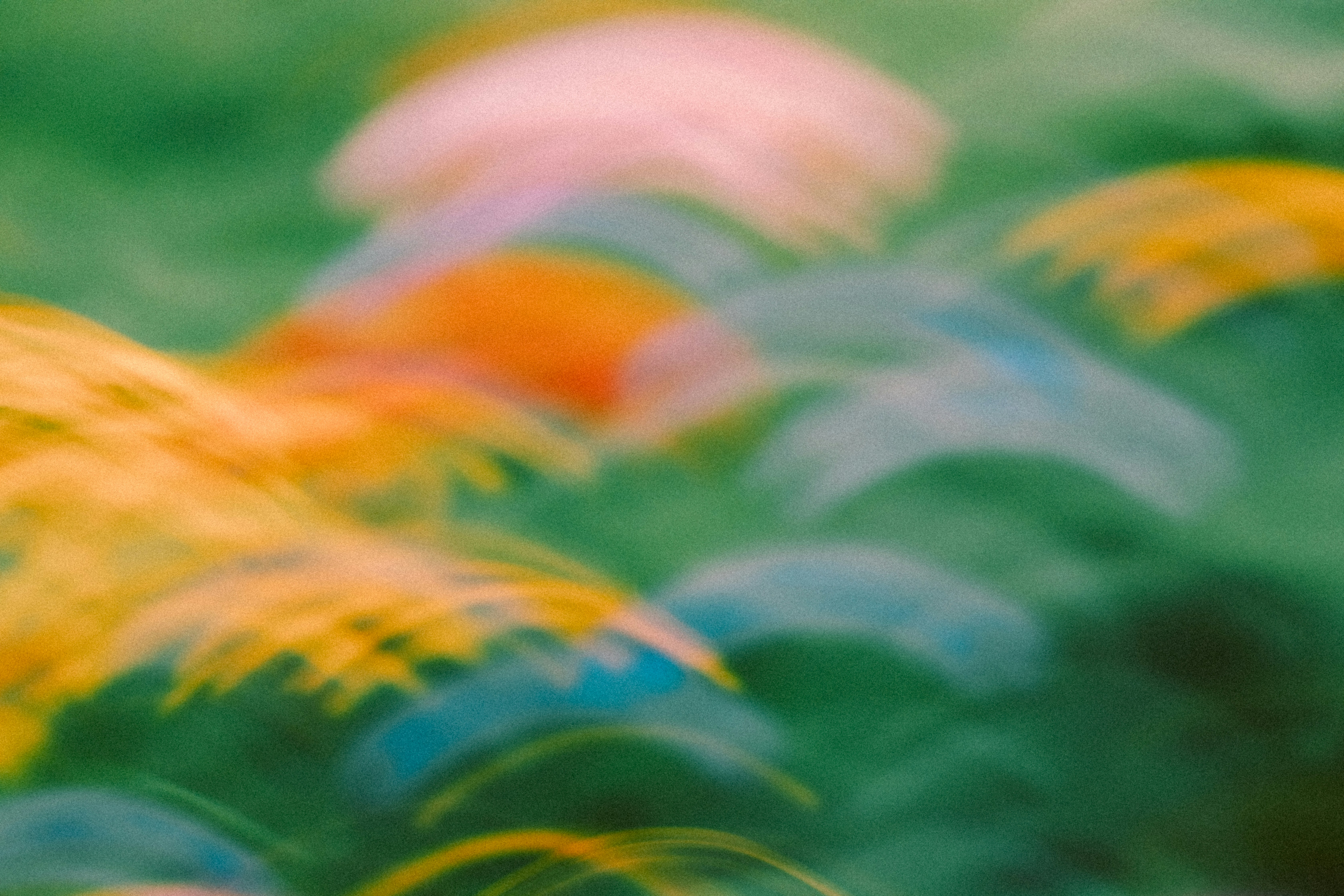 Soft Motion of Autumn Hues in a Blurred Garden