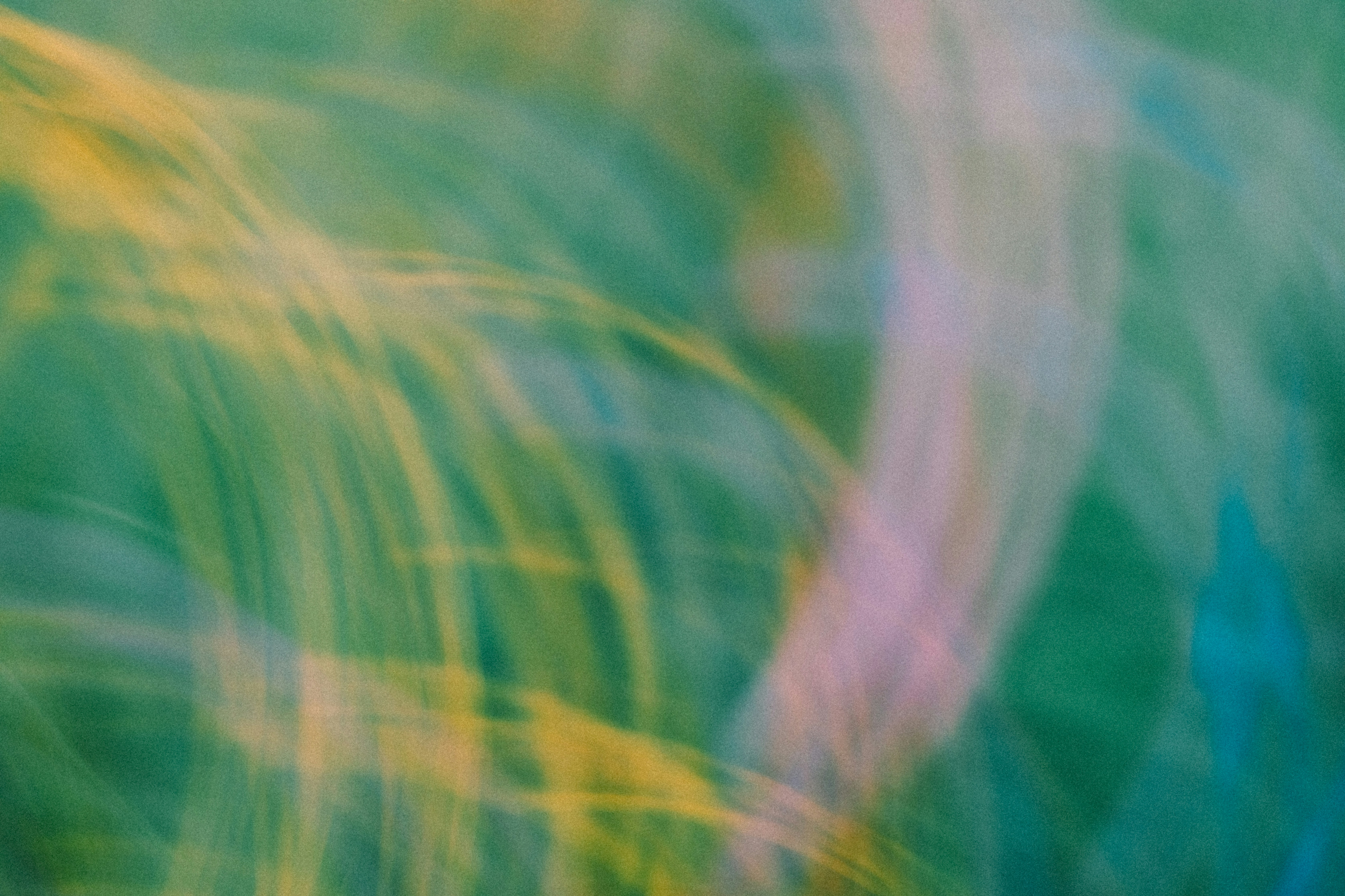 Swirls of Color: A Soft Abstraction in Motion
