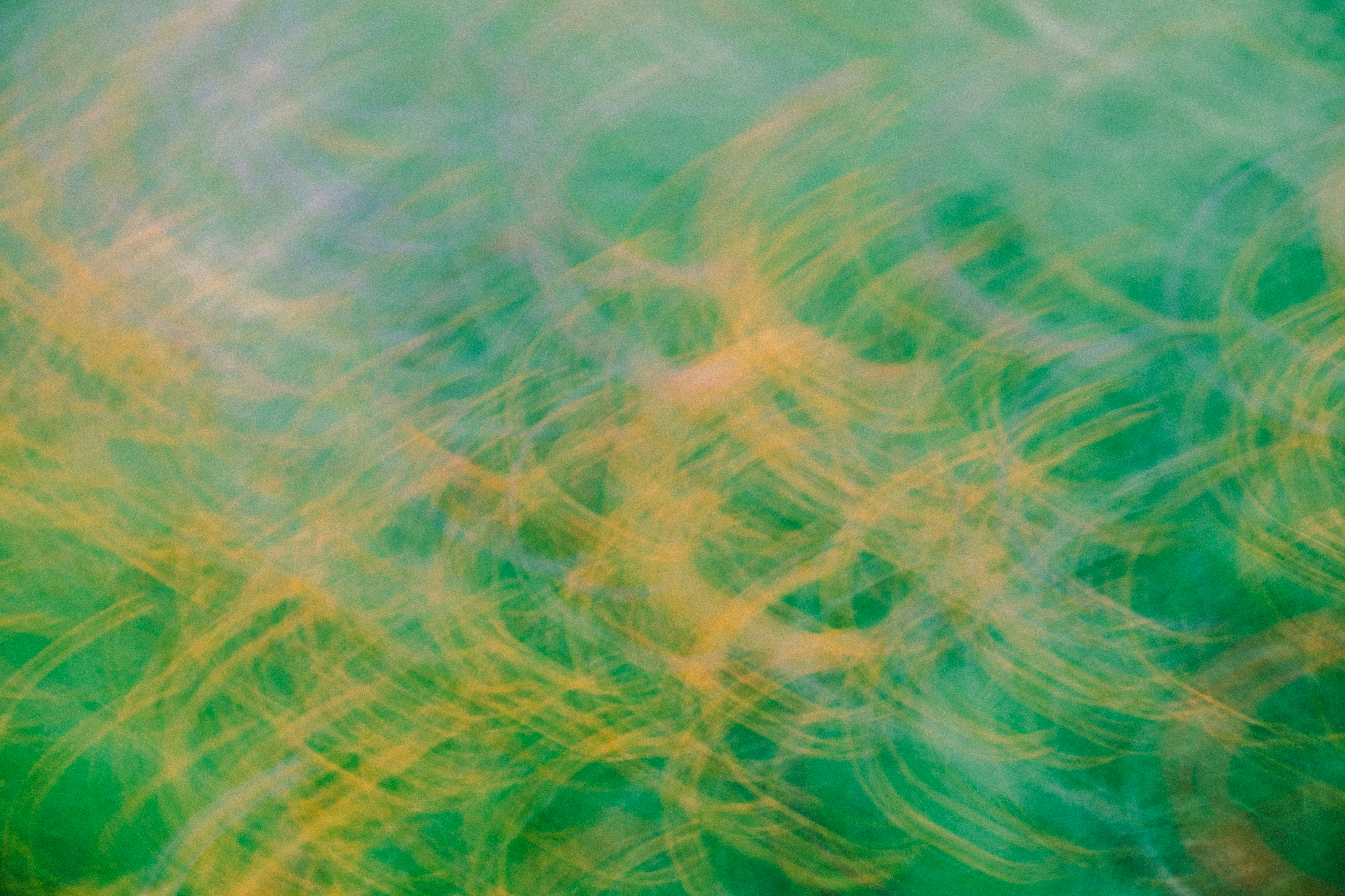 Electric Ferns in Motion: Abstract Green and Yellow Whorls