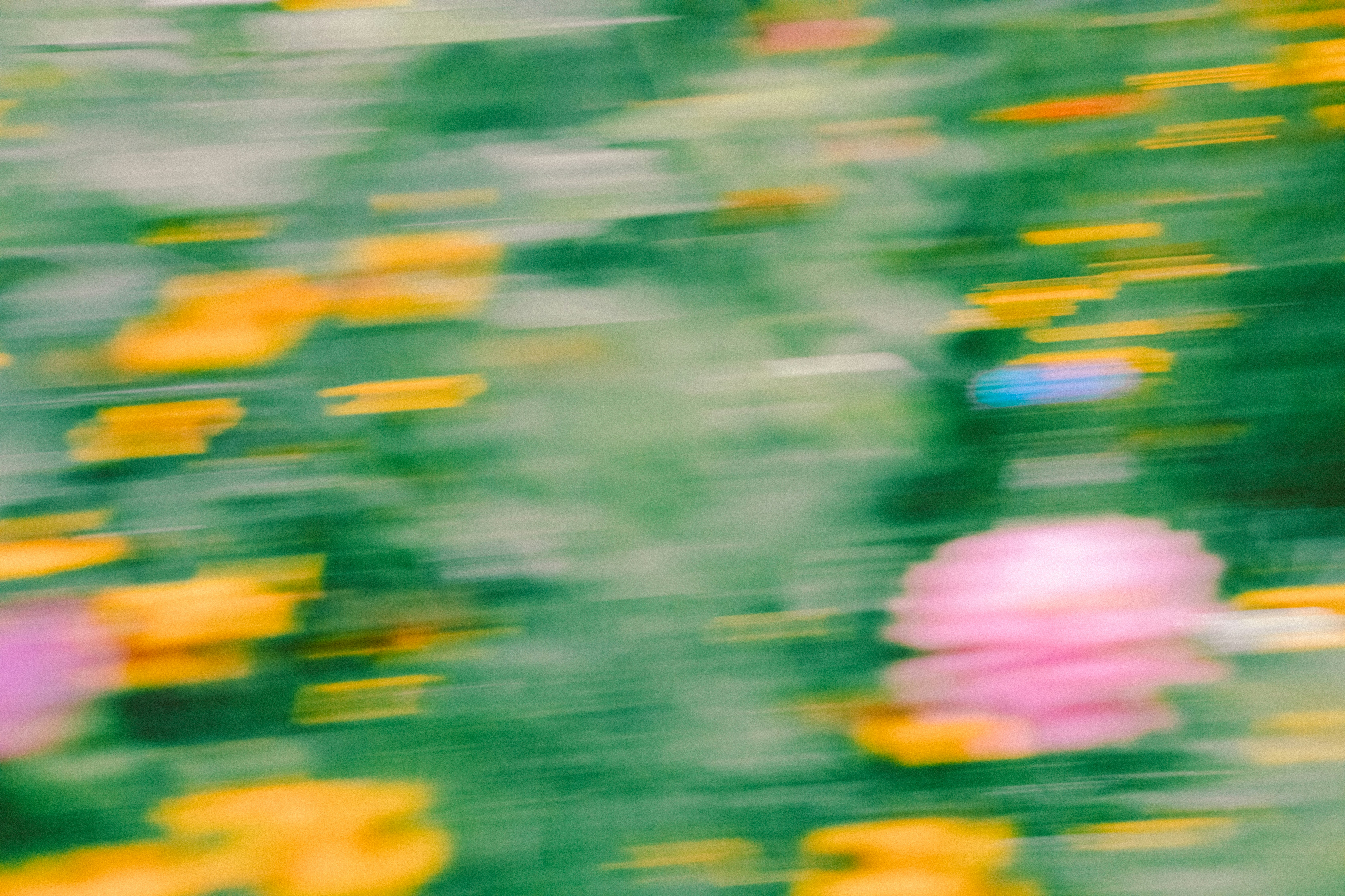 Blurred Meadow: a painterly swirl of flowers and color