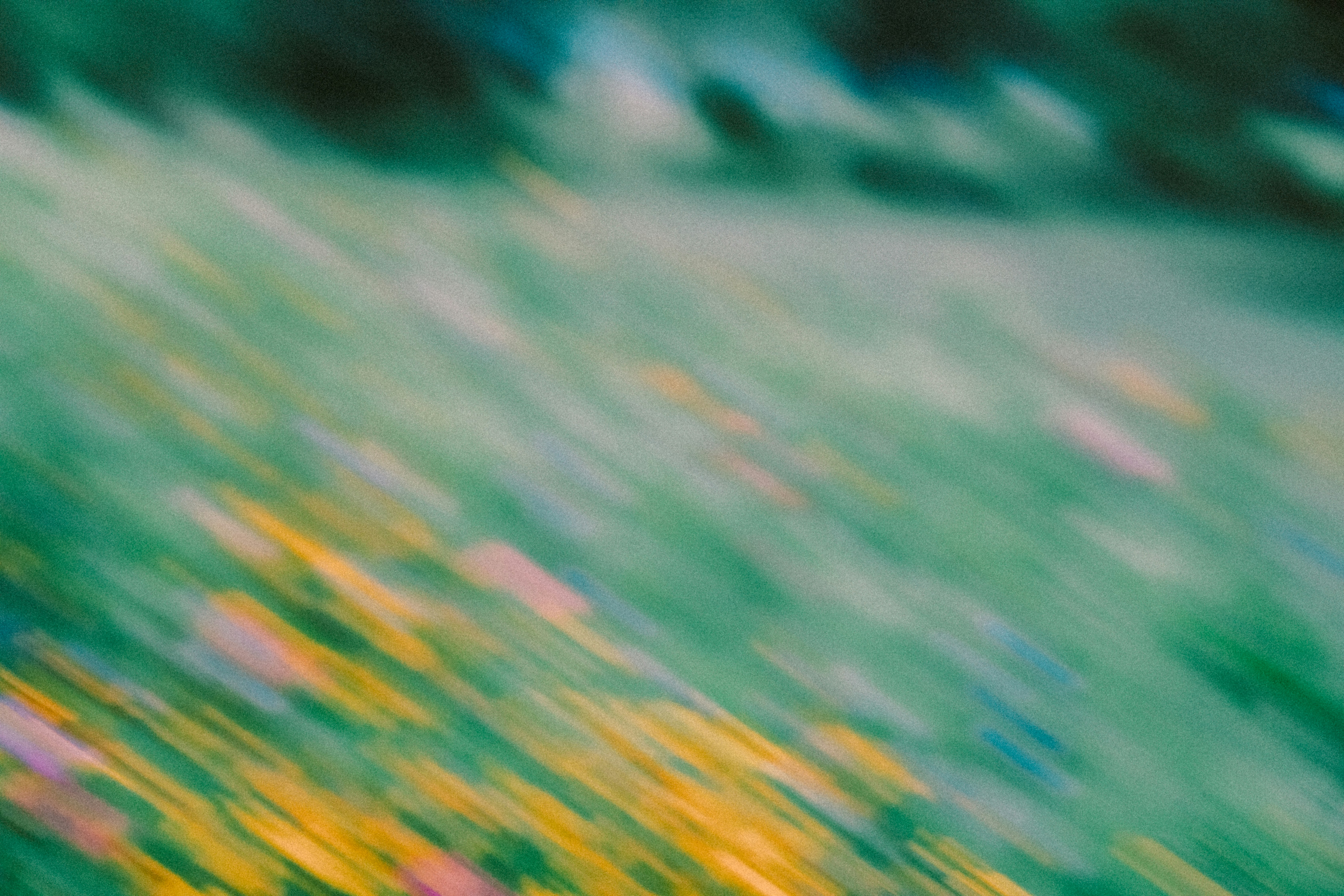 Motion of Color: A Blur of Meadow Blooms in Transit