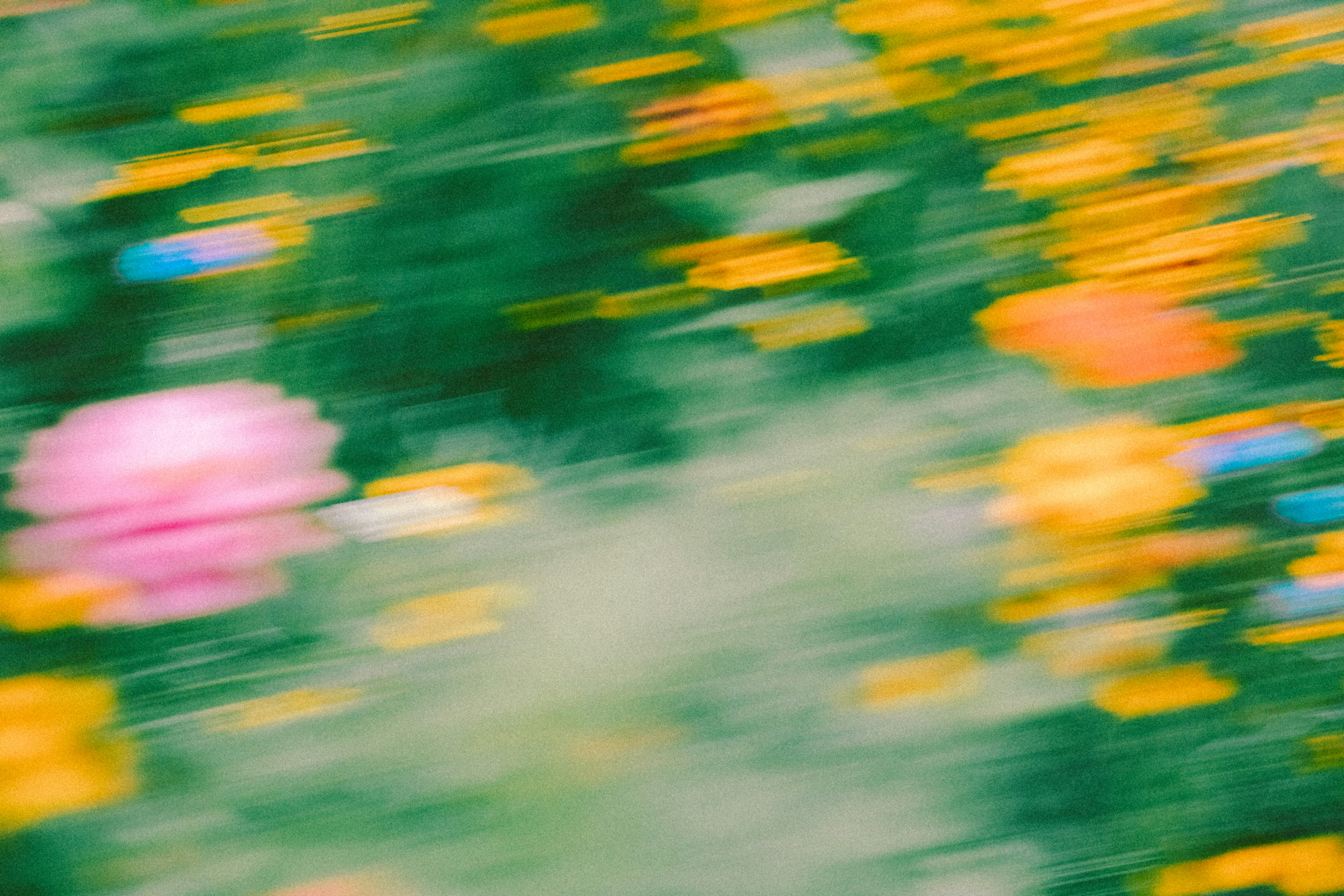 Blurred Meadow: A Patchwork of Flowers in Motion