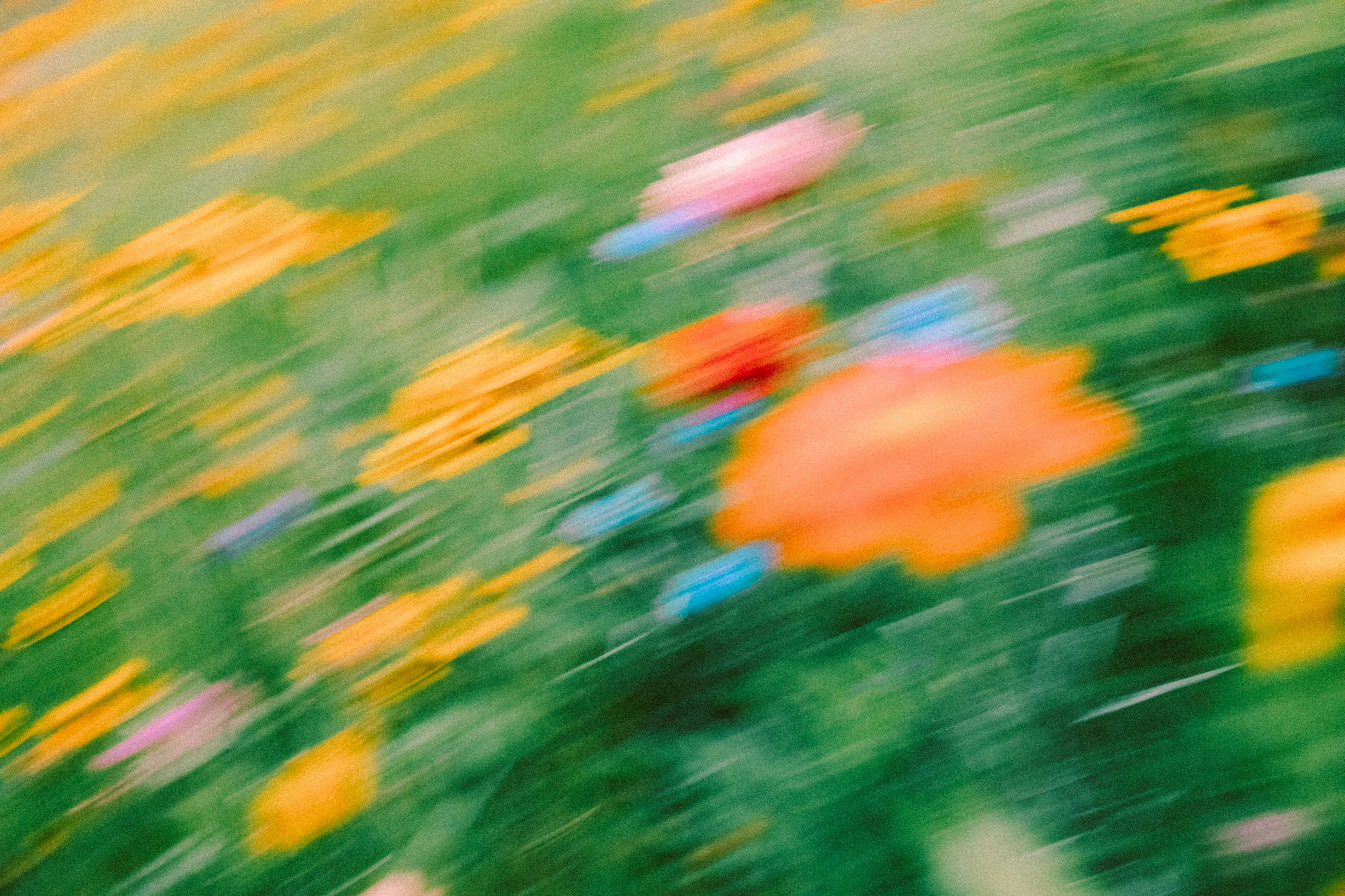 Blurred Meadow Bloom: A Motion-Driven Field of Color