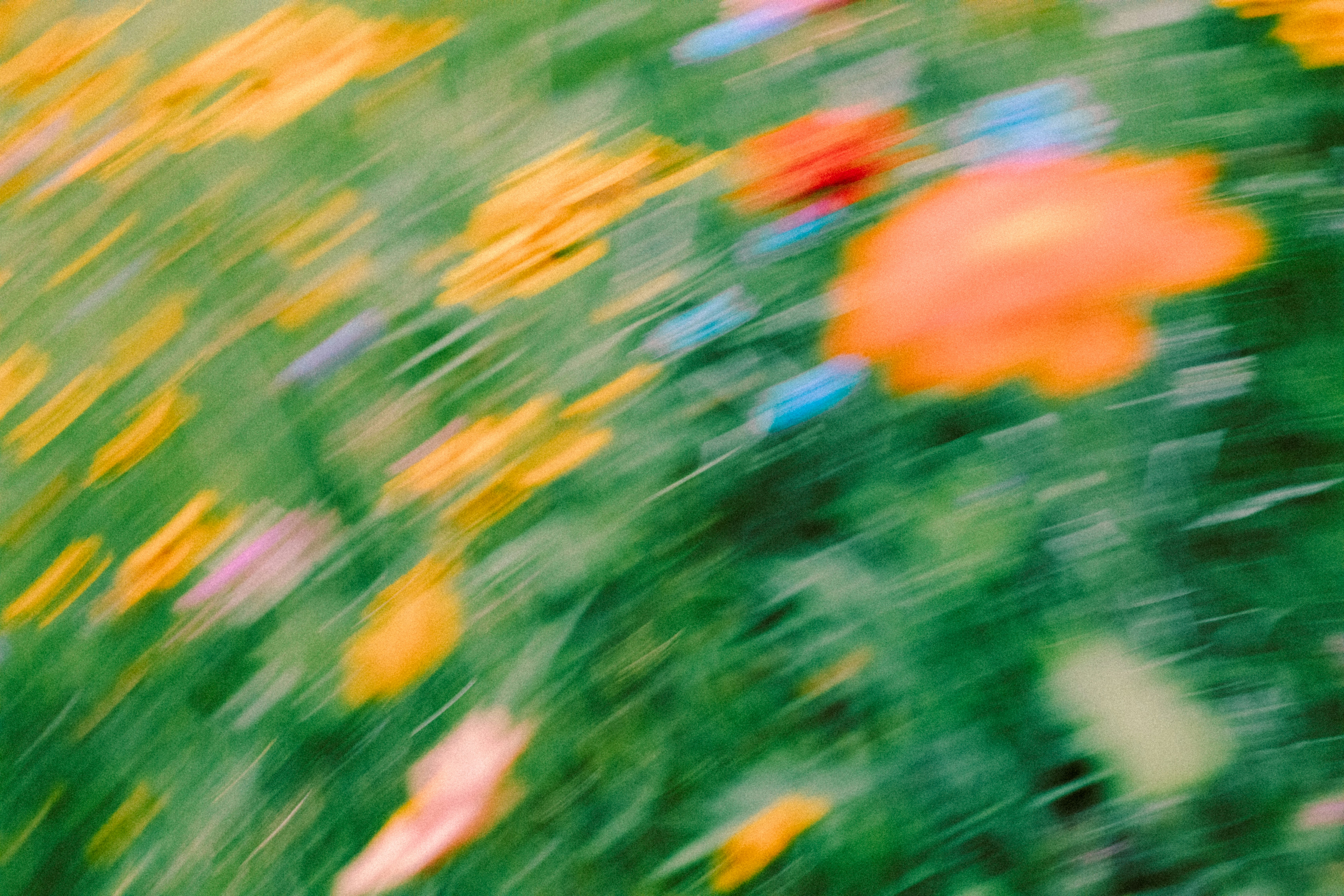 Blurred Petals in Motion: A Burst of Spring Colors
