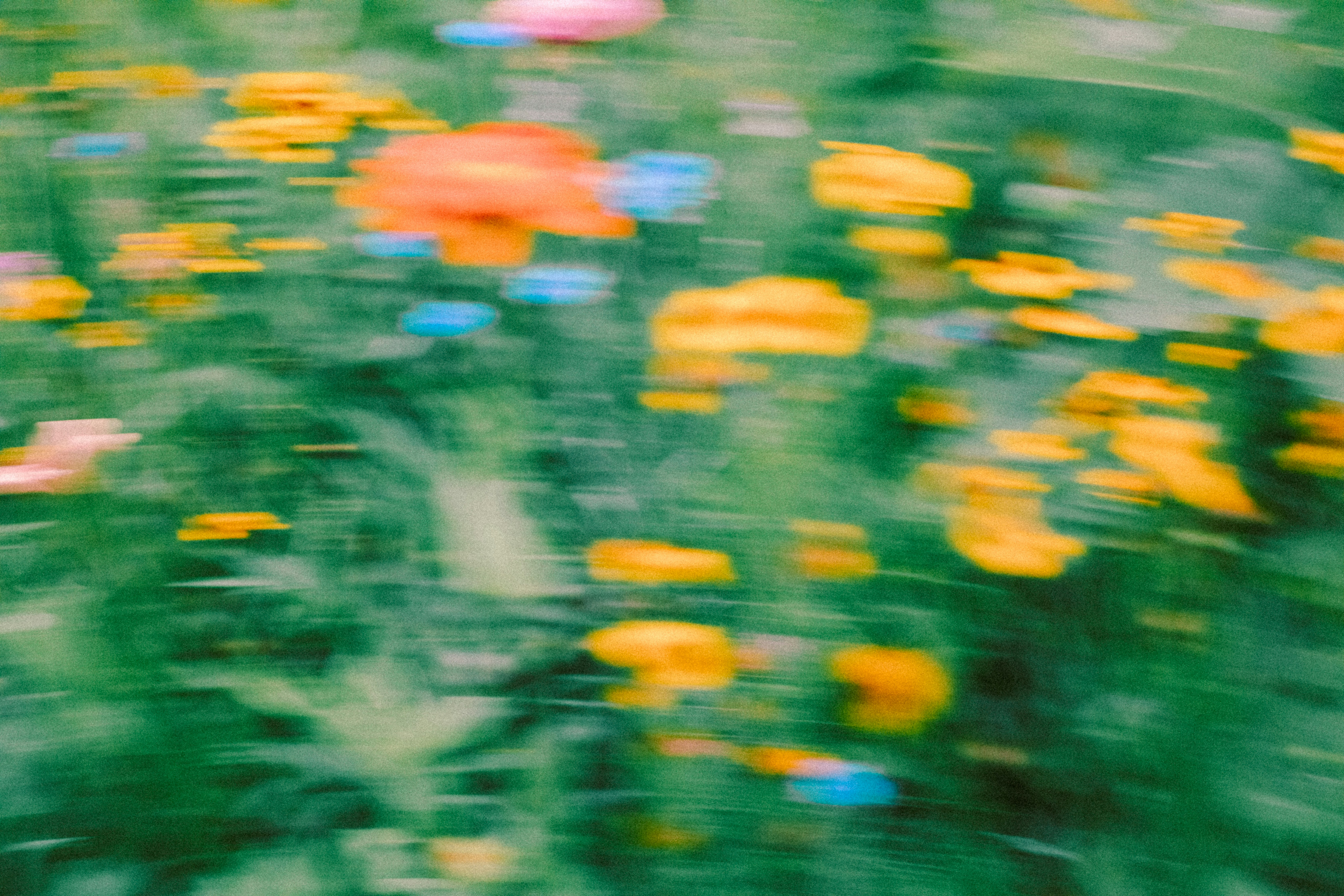 Blurred Meadow: a Painterly Burst of Yellow and Orange Blooms