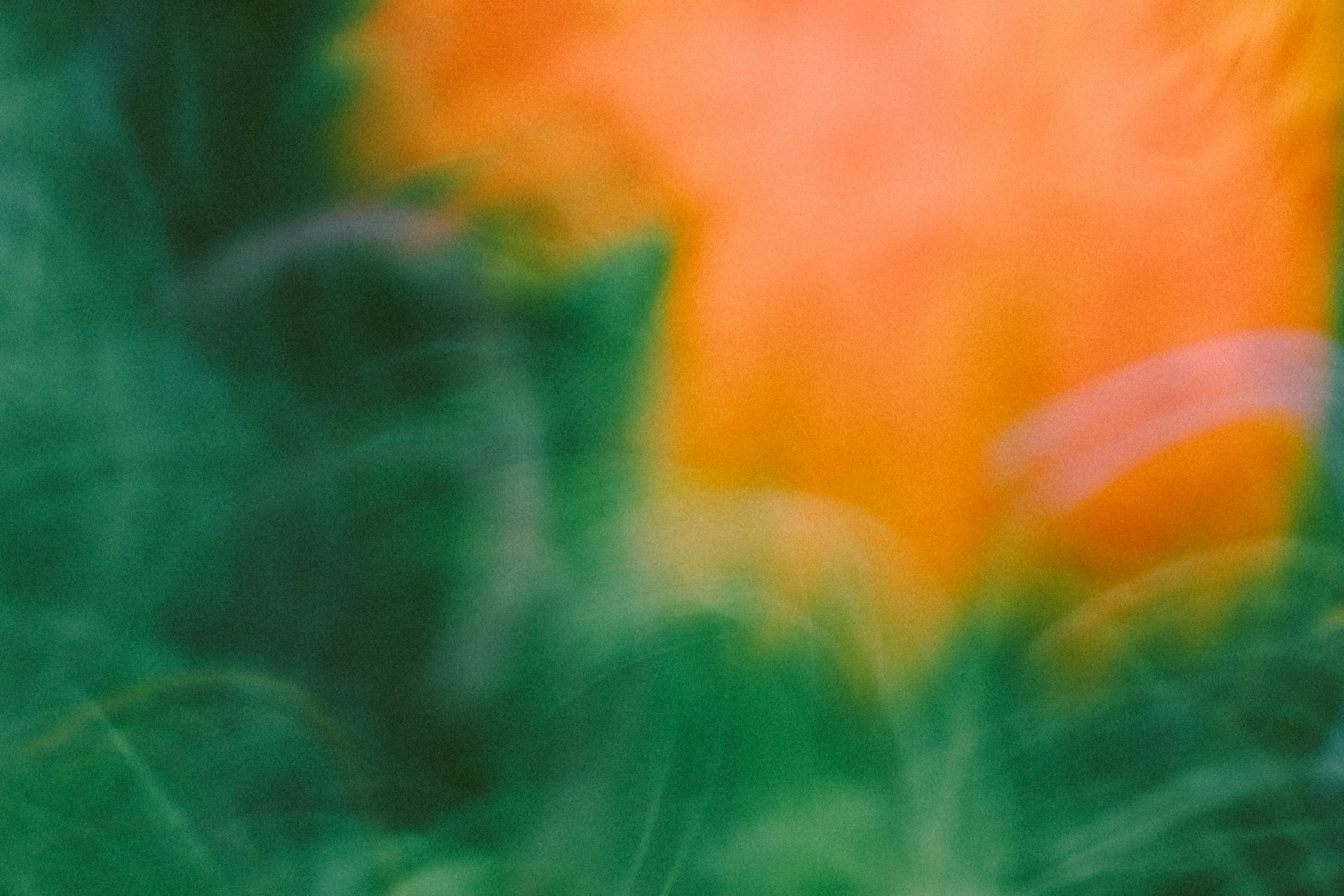 Color Cascade in Motion: Blurred Green, Orange, and Gold