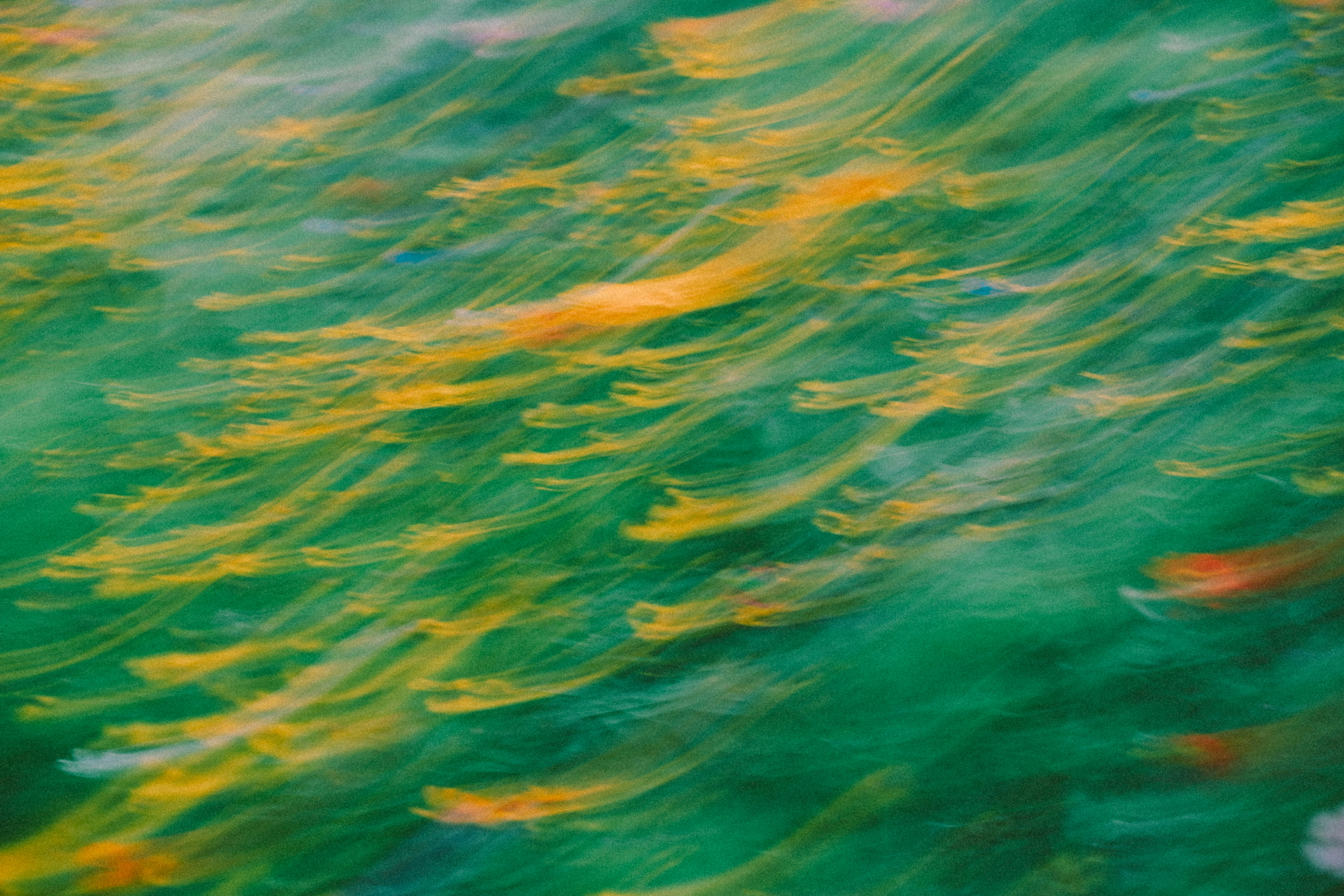 Swirls of Green and Gold: A Motion-Blur Reef