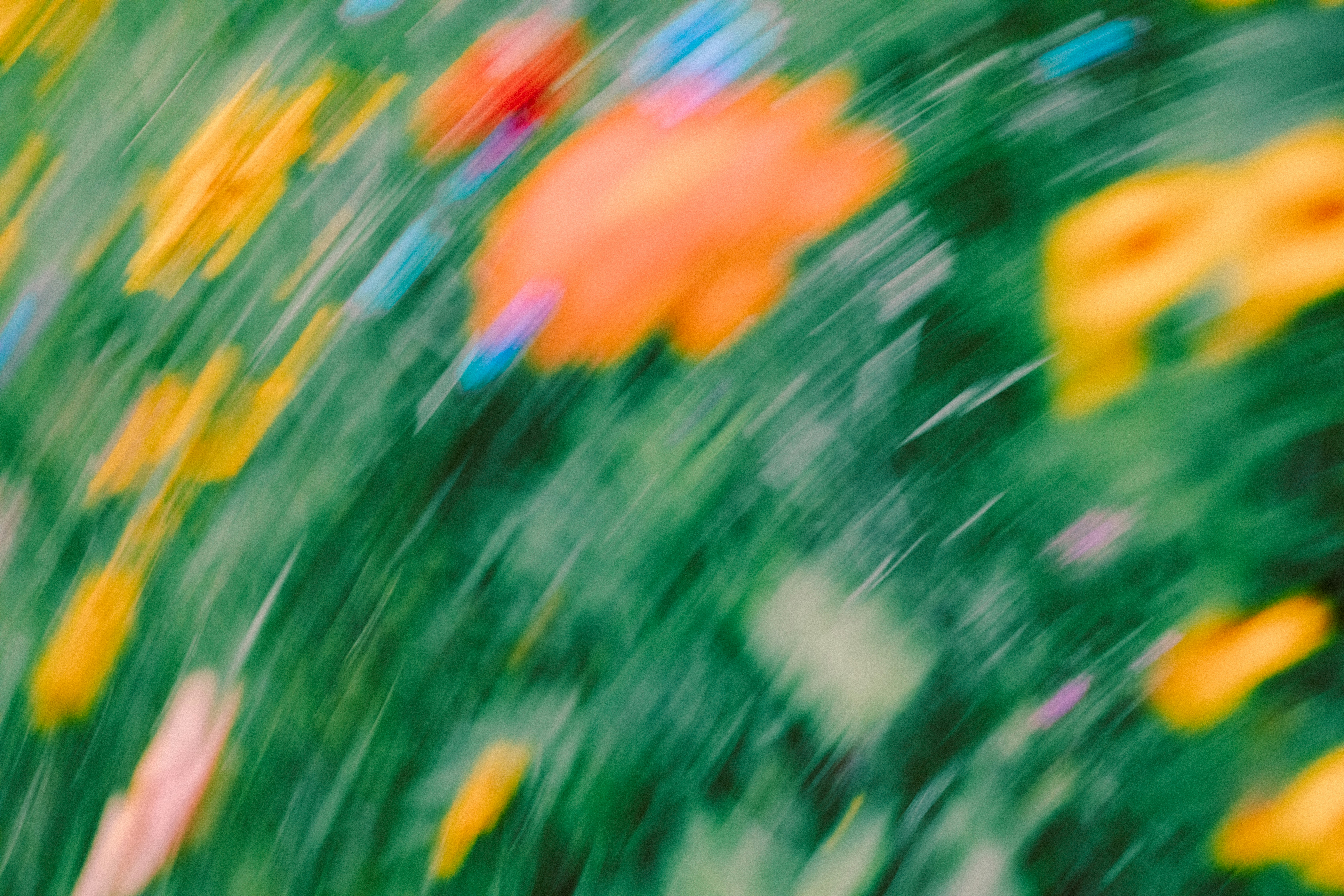 Blossoms in Motion: Color Burst Across a Blurred Field
