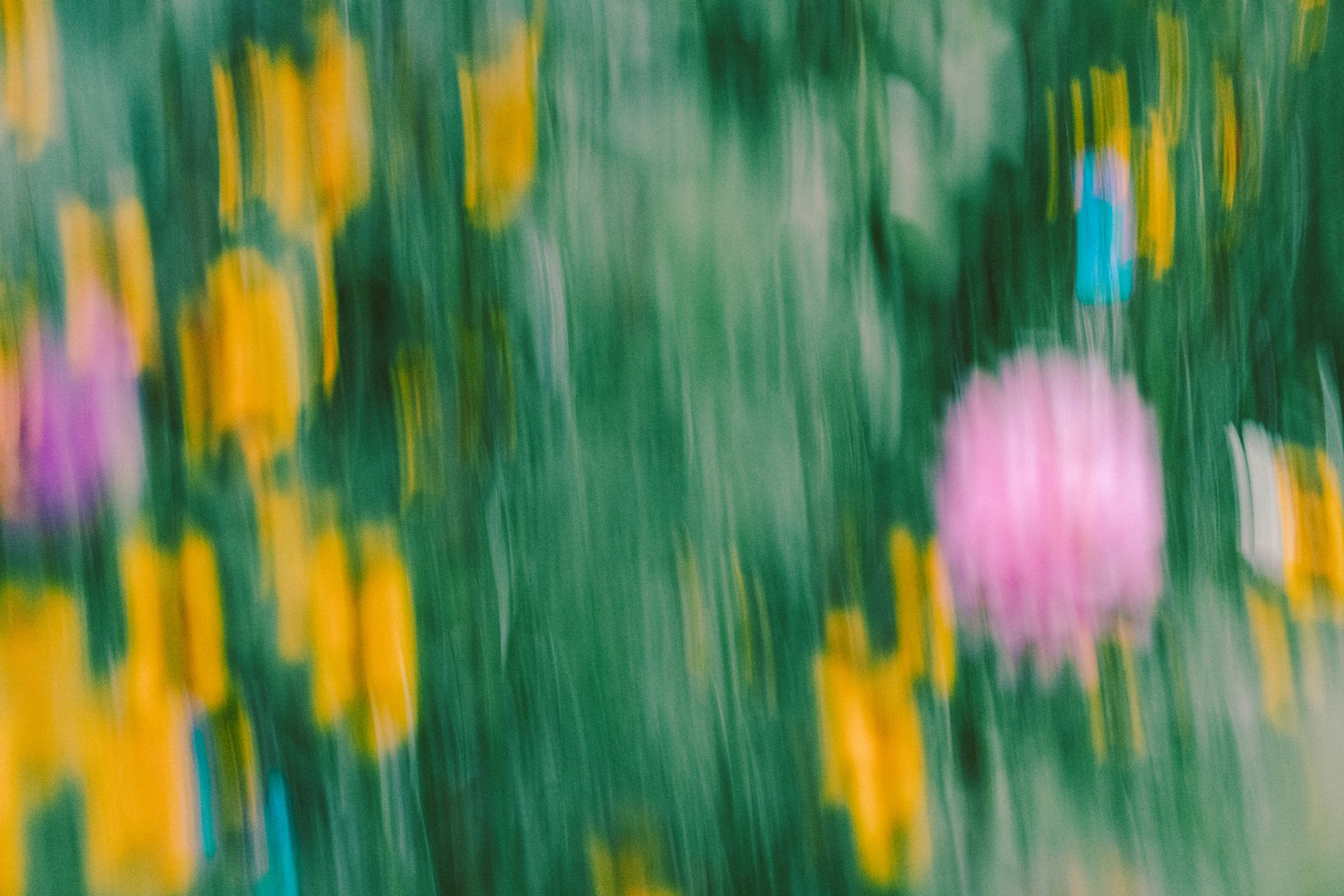 Blurred Meadow Bloom: A Whirl of Color and Motion