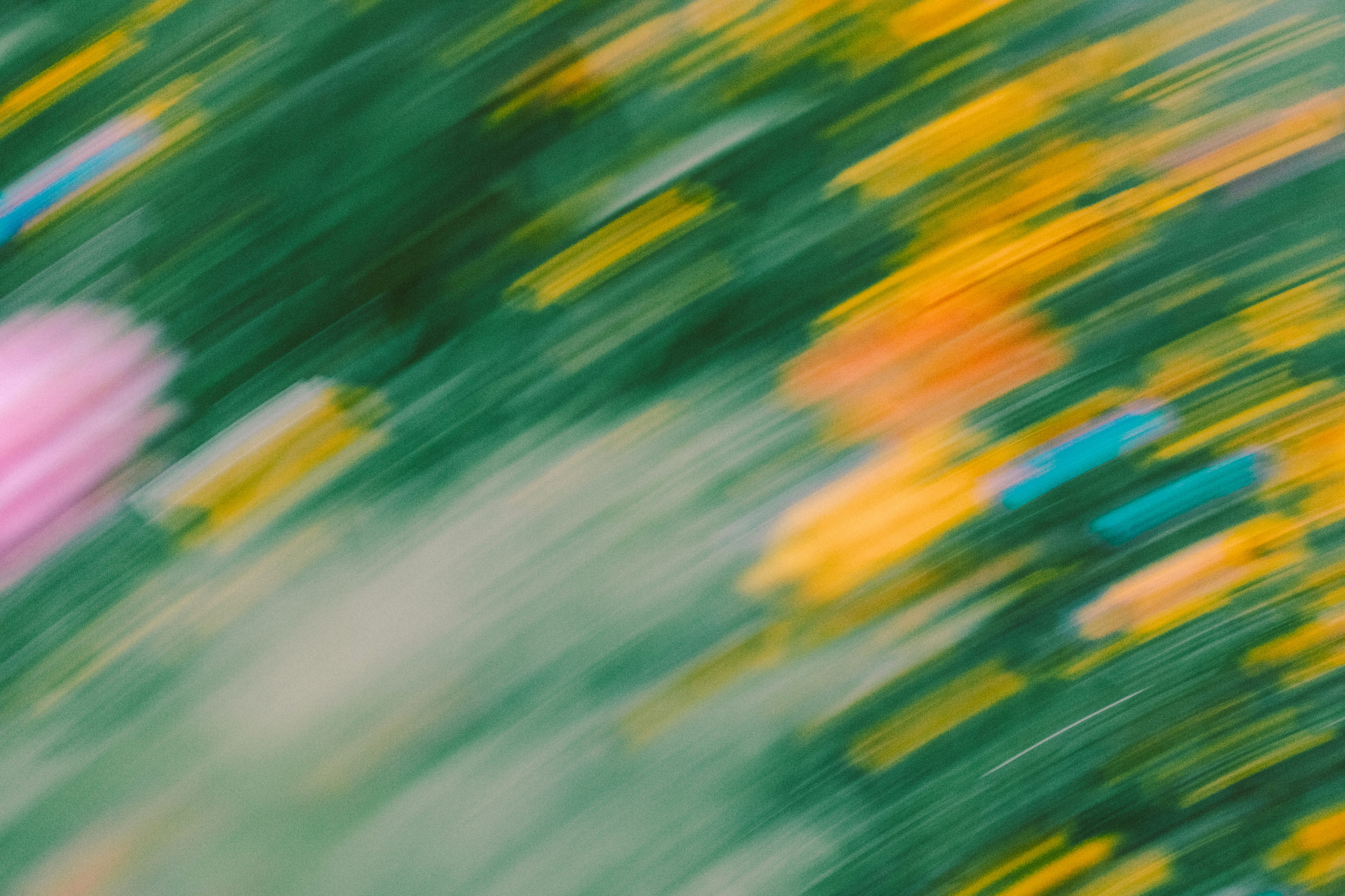 Blurred Meadow: A River of Color in Motion