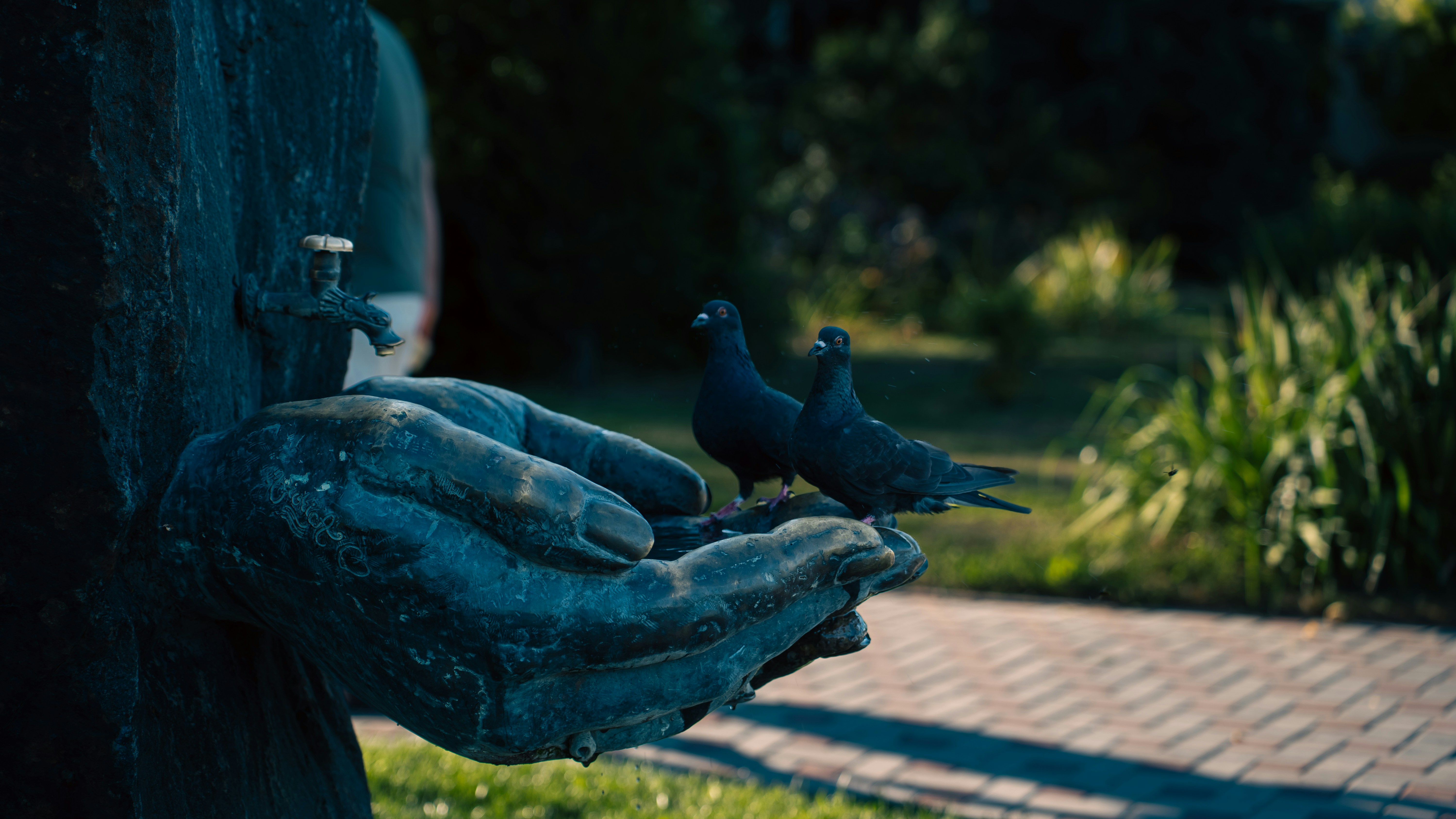 Stone Hands and Pigeons: Quiet Moment by the Water