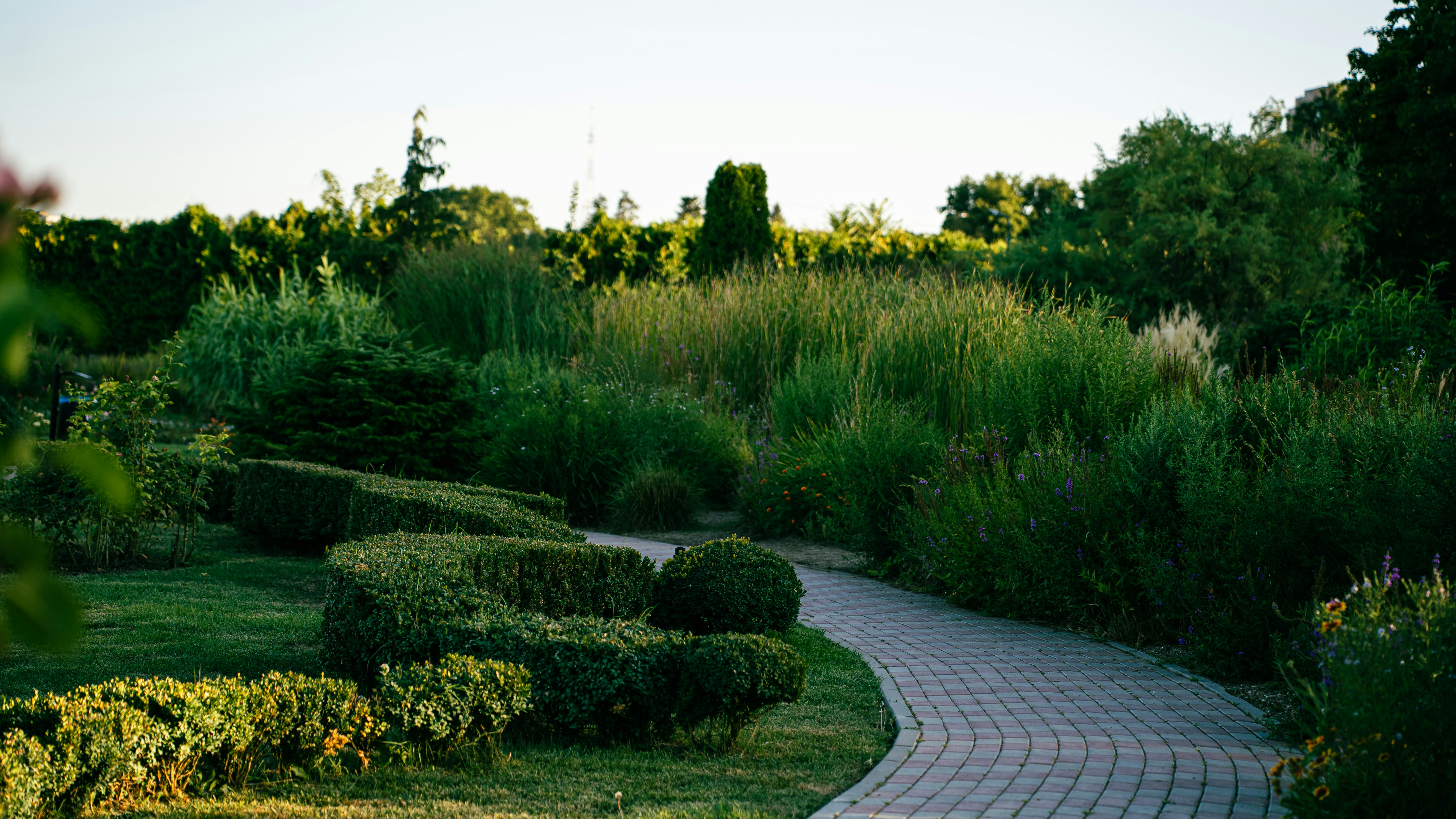 Curved Path Through a Quiet Garden at Dusk