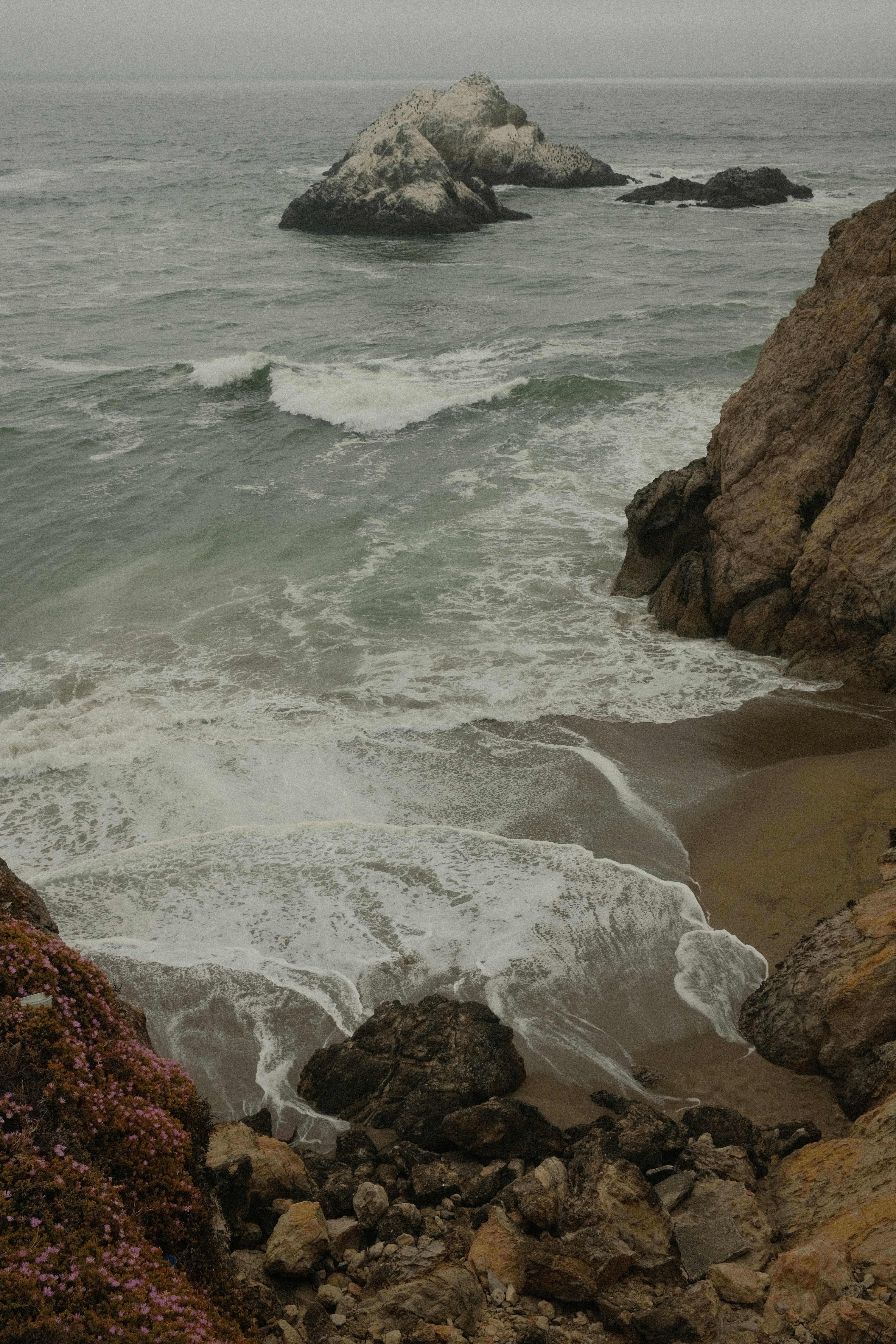 Sea Cliff Confluence: Waves Reclaim the Shored Stones