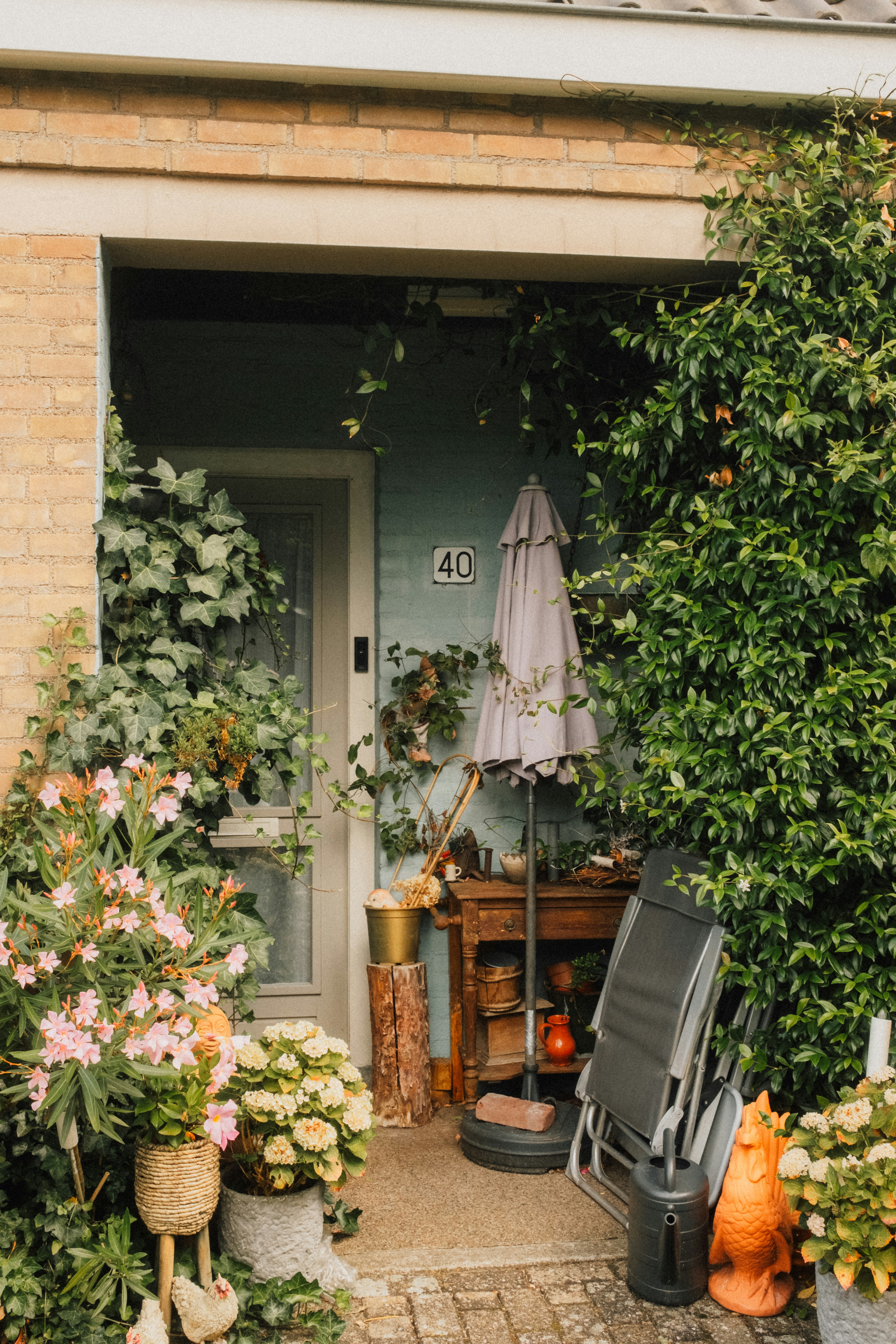 Overgrown Porch at Number 40: A Quiet Garden Nook