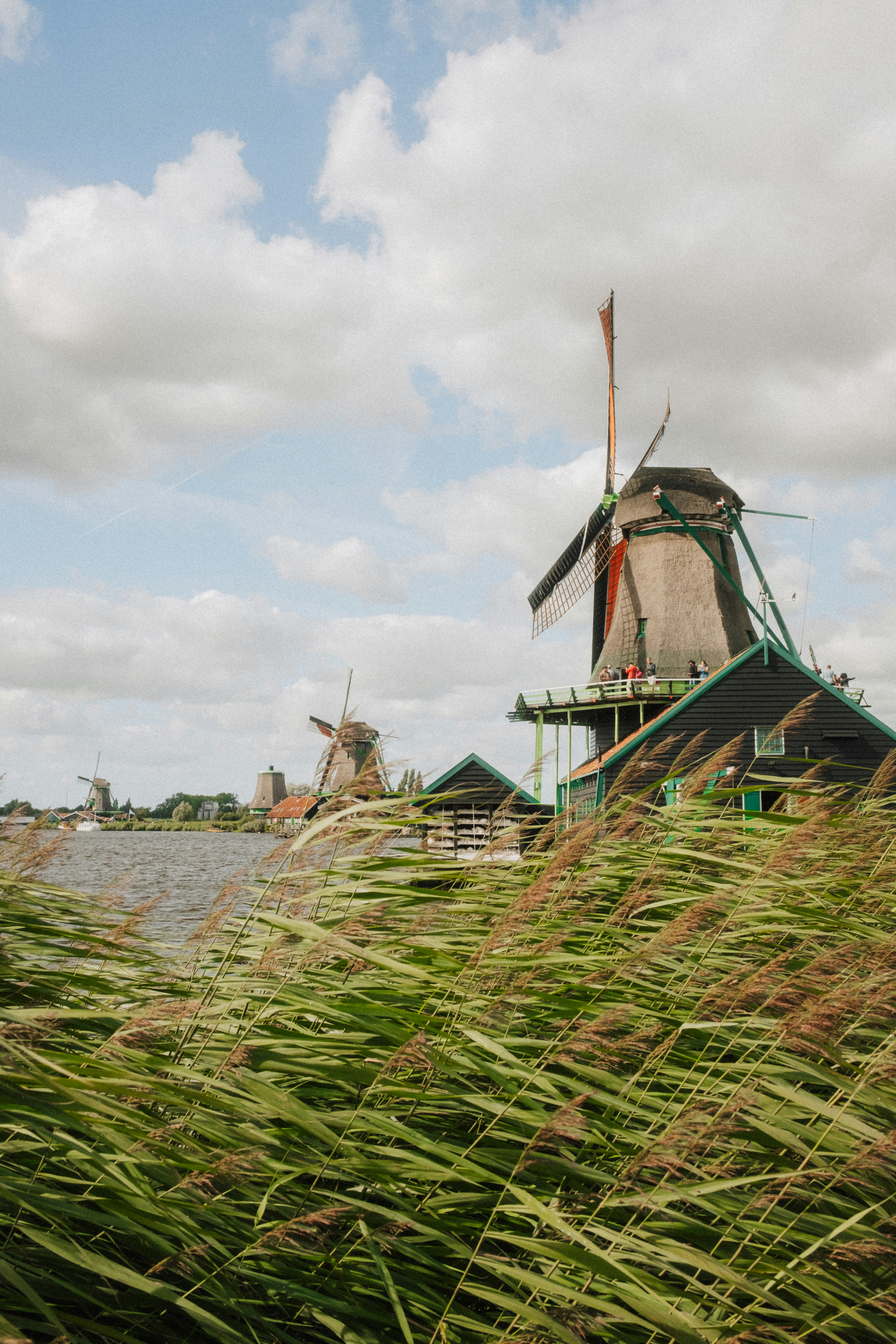 Windmills by the Water: A Dutch Landscape inMotion