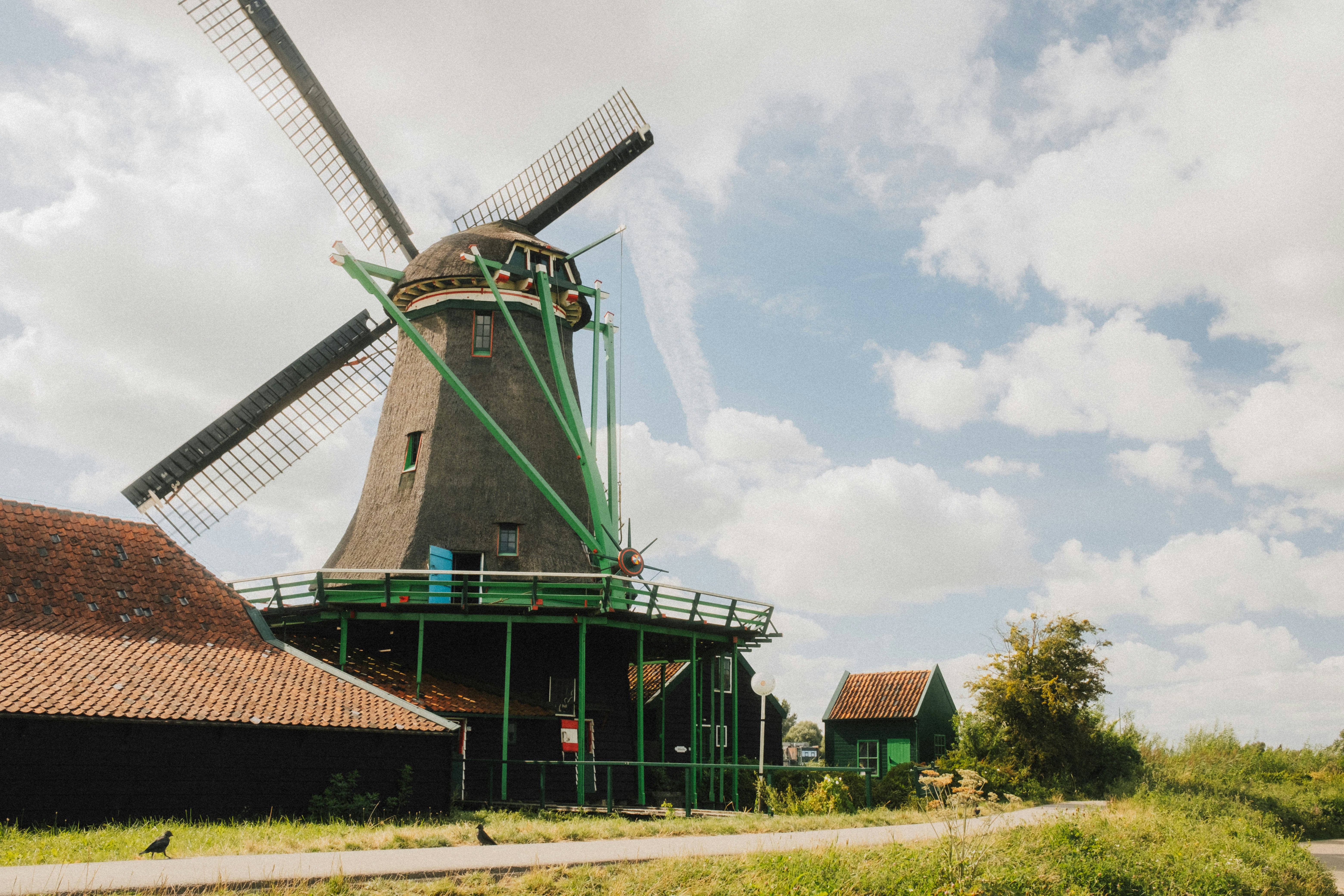Windmill on a Sunlit Dutch Plain