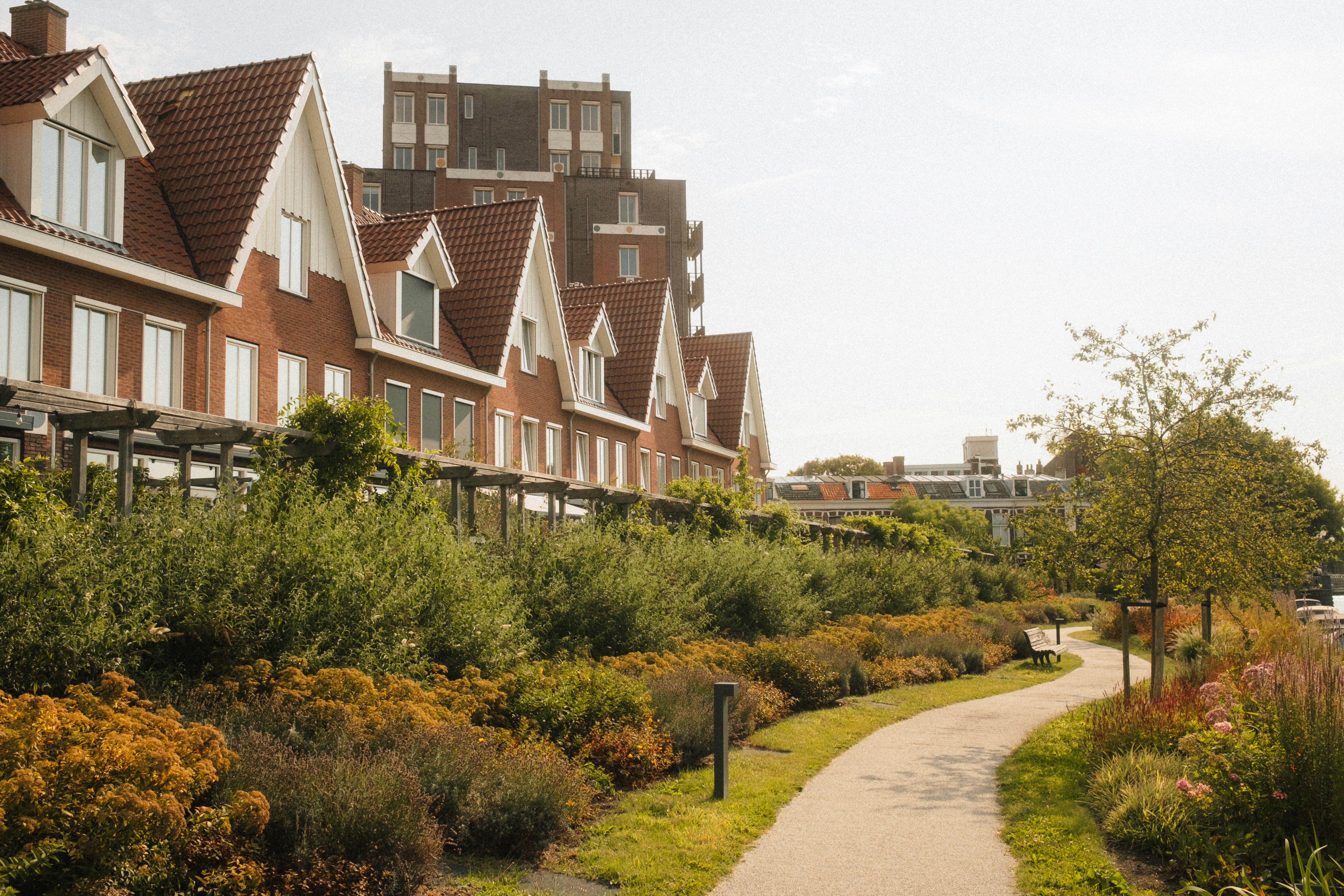 Row of gabled townhouses along a sunlit garden path