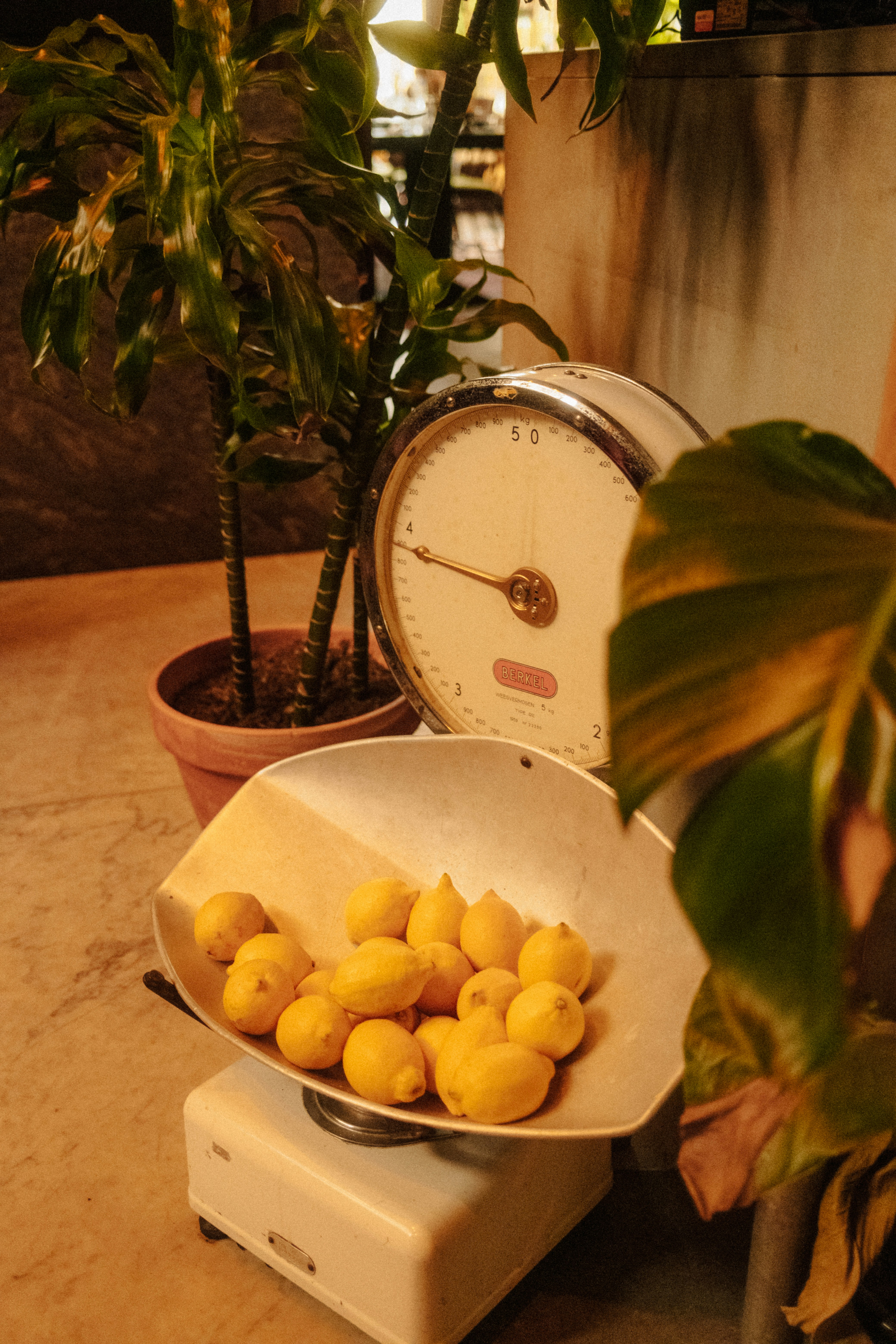 A Curious Balance: Lemons on a Vintage Scale in Warm Indoor Light